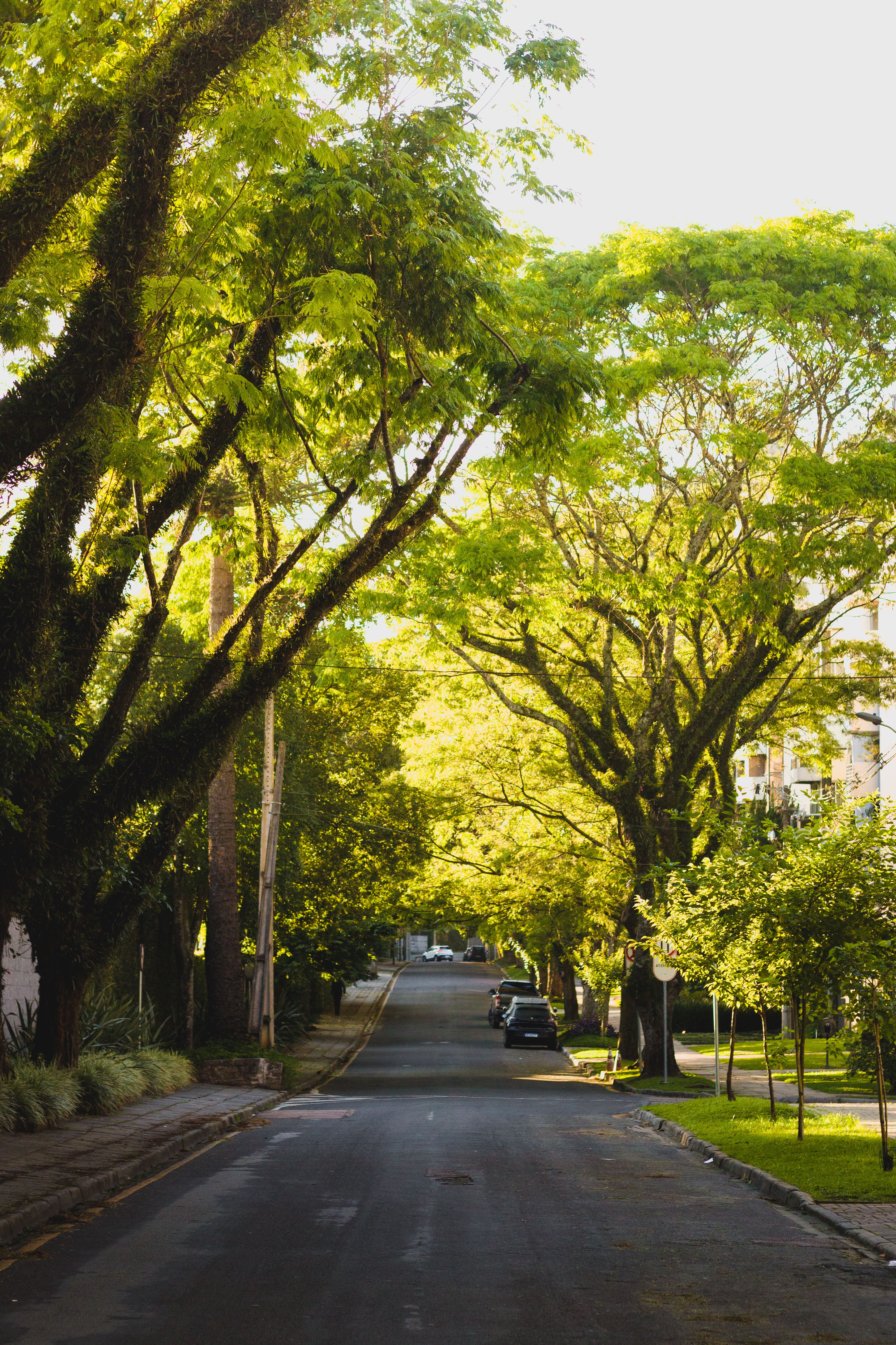 Road Branching Photos, Download The BEST Free Road Branching Stock ...