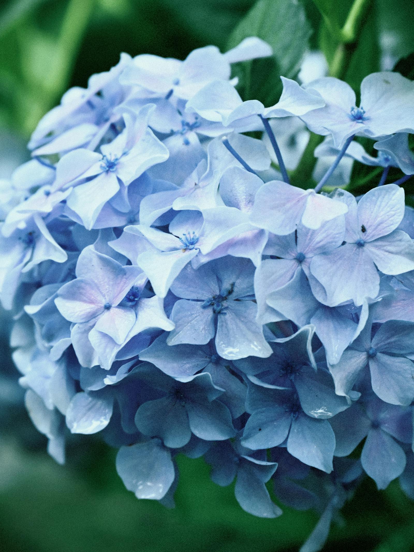 Everything Blue Photos, Download The BEST Free Everything Blue Stock ...