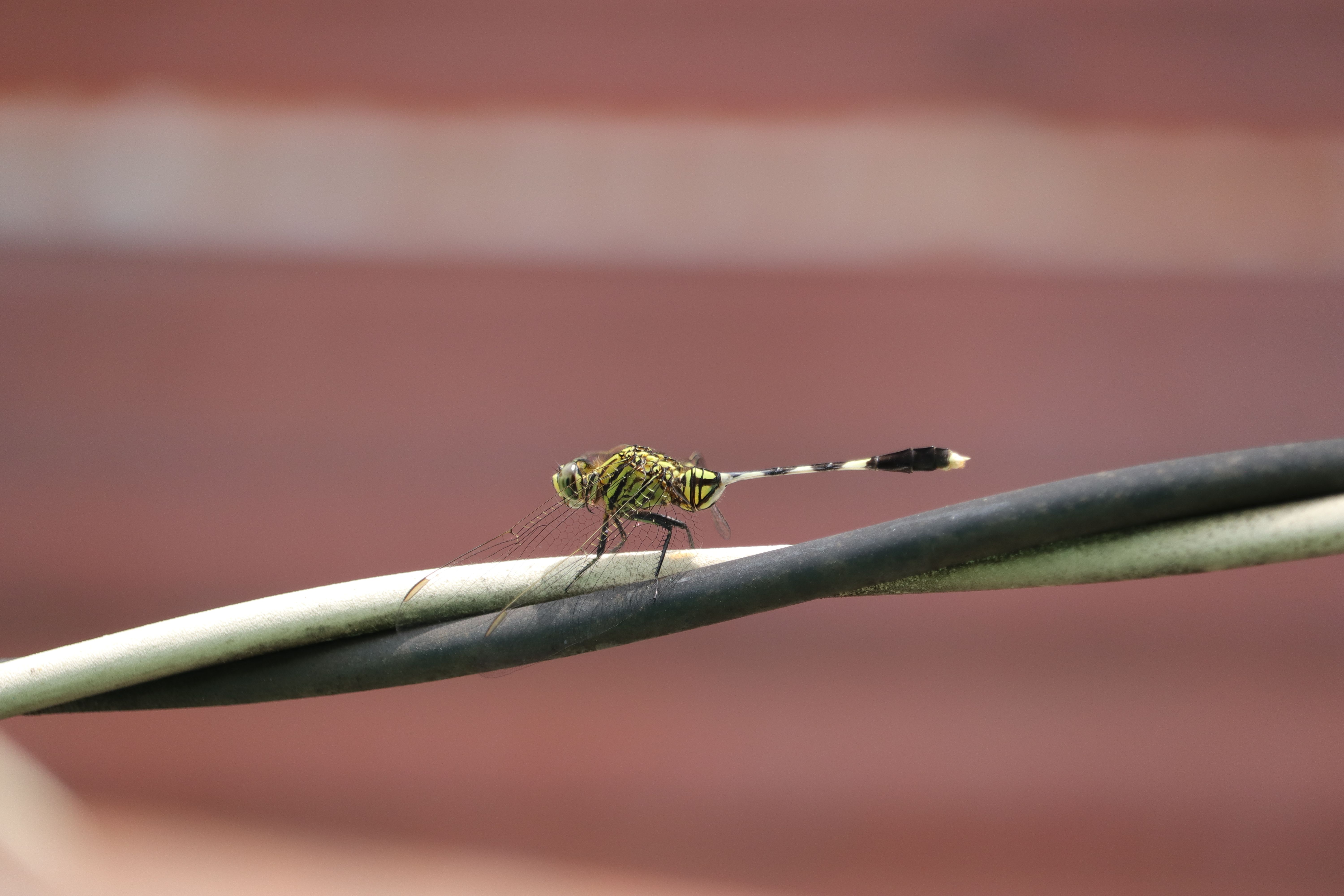 Specific Detail Photos, Download The BEST Free Specific Detail Stock ...