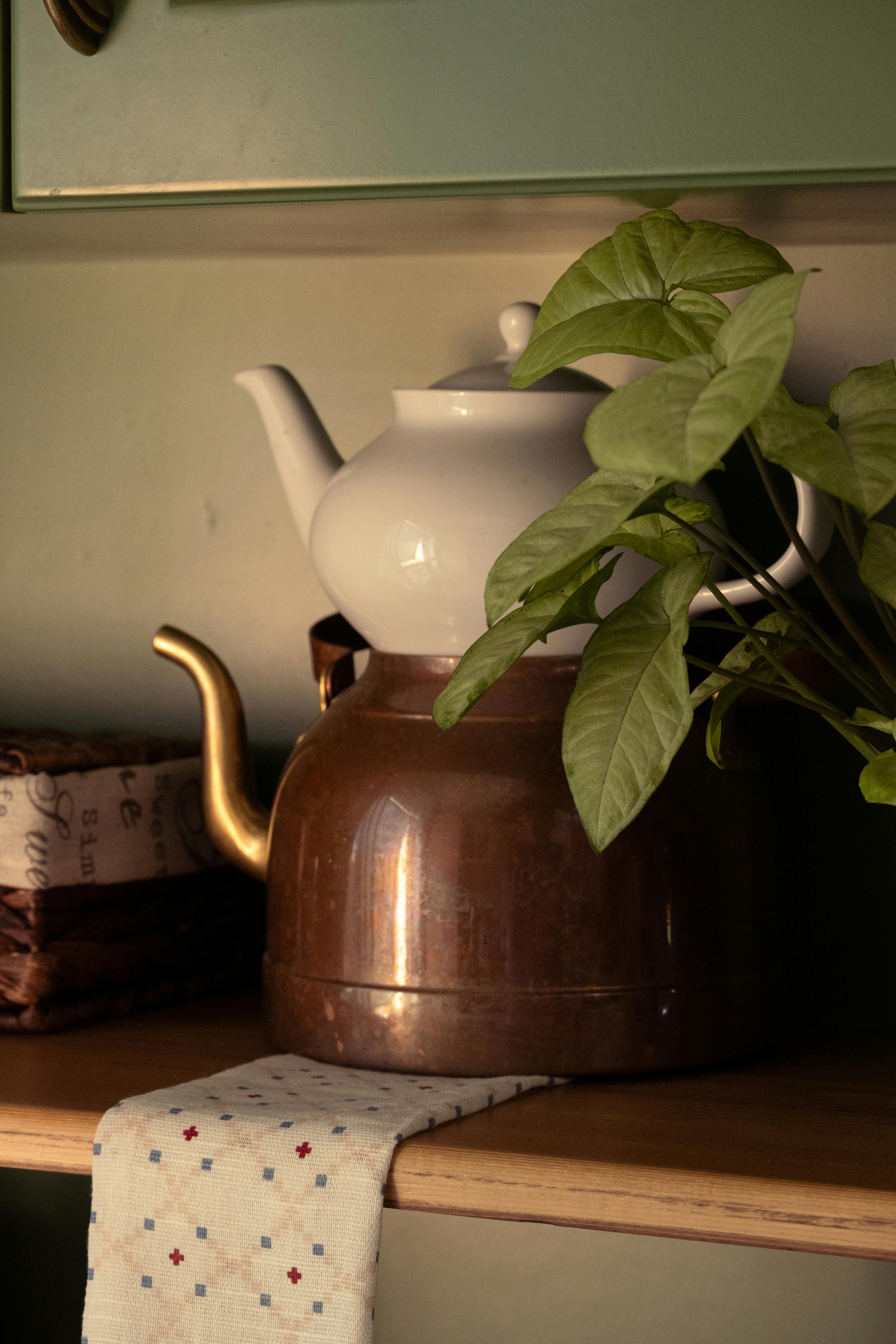 Teapot on a Kitchen Counter · Free Stock Photo