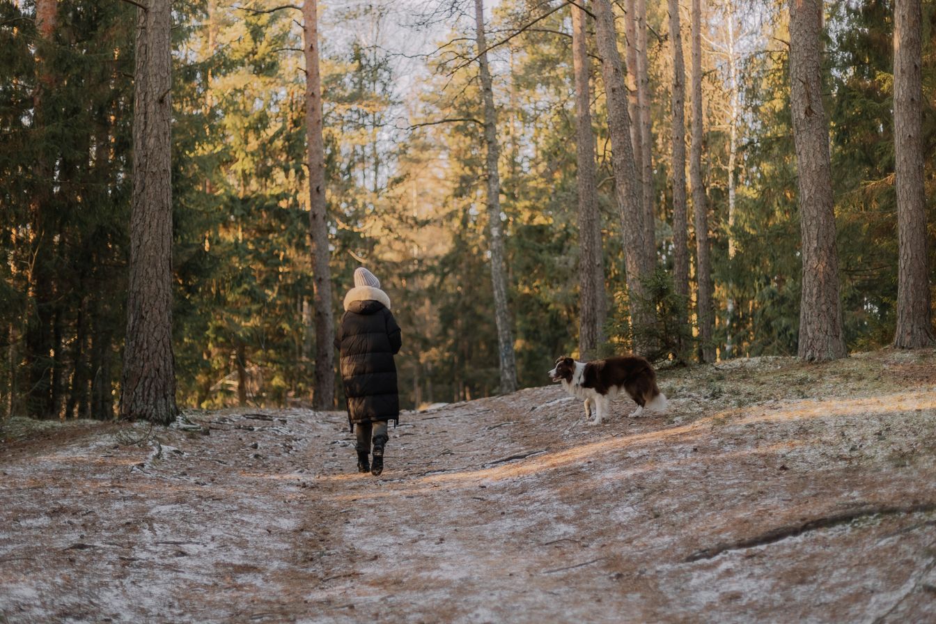 Understanding Canine Gait: Key to Healthy Canine Movement