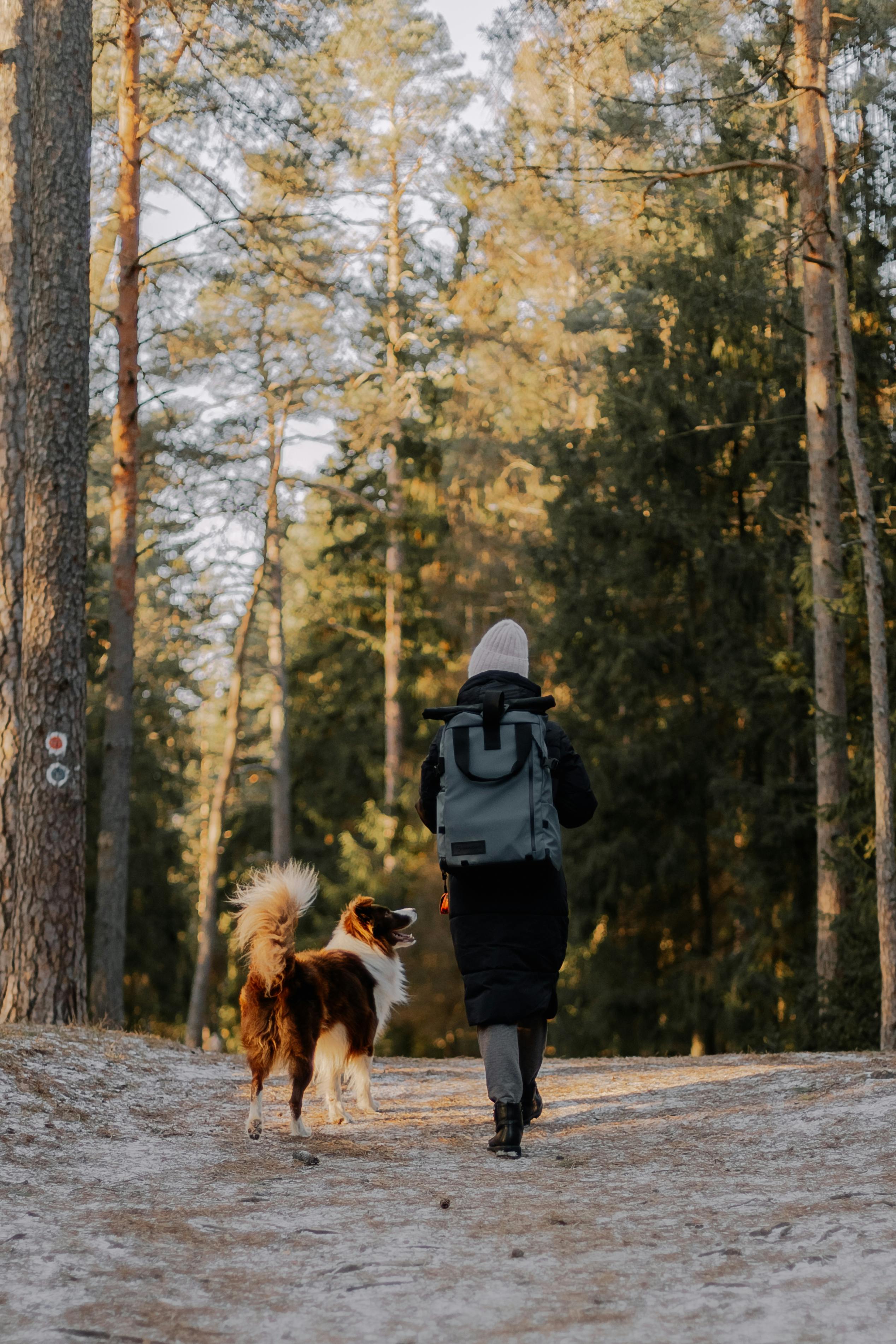 Inbetweeners Ooh Friend Meme Photos, Download The BEST Free ...