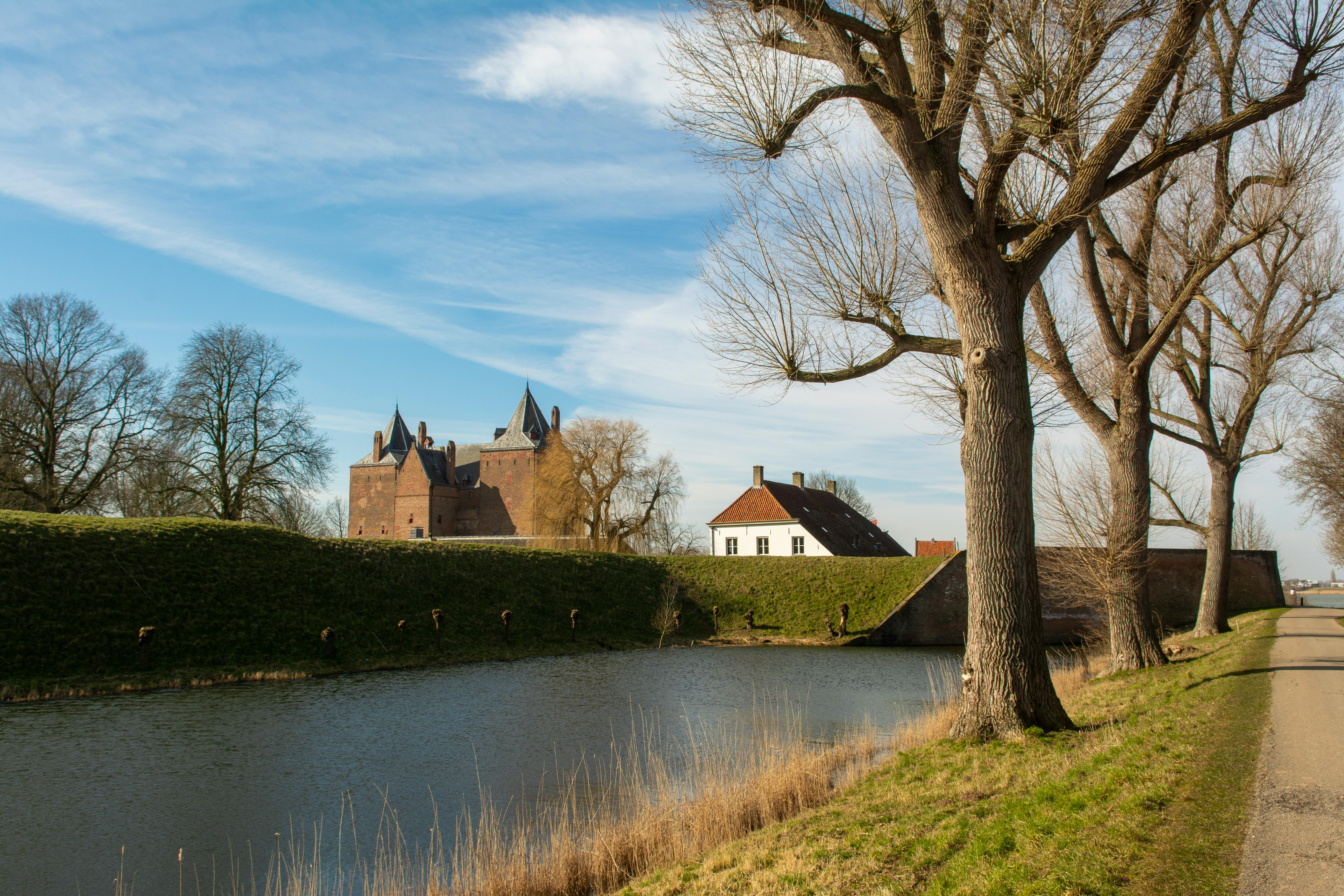 Trees Growing along River in Suburbs · Free Stock Photo