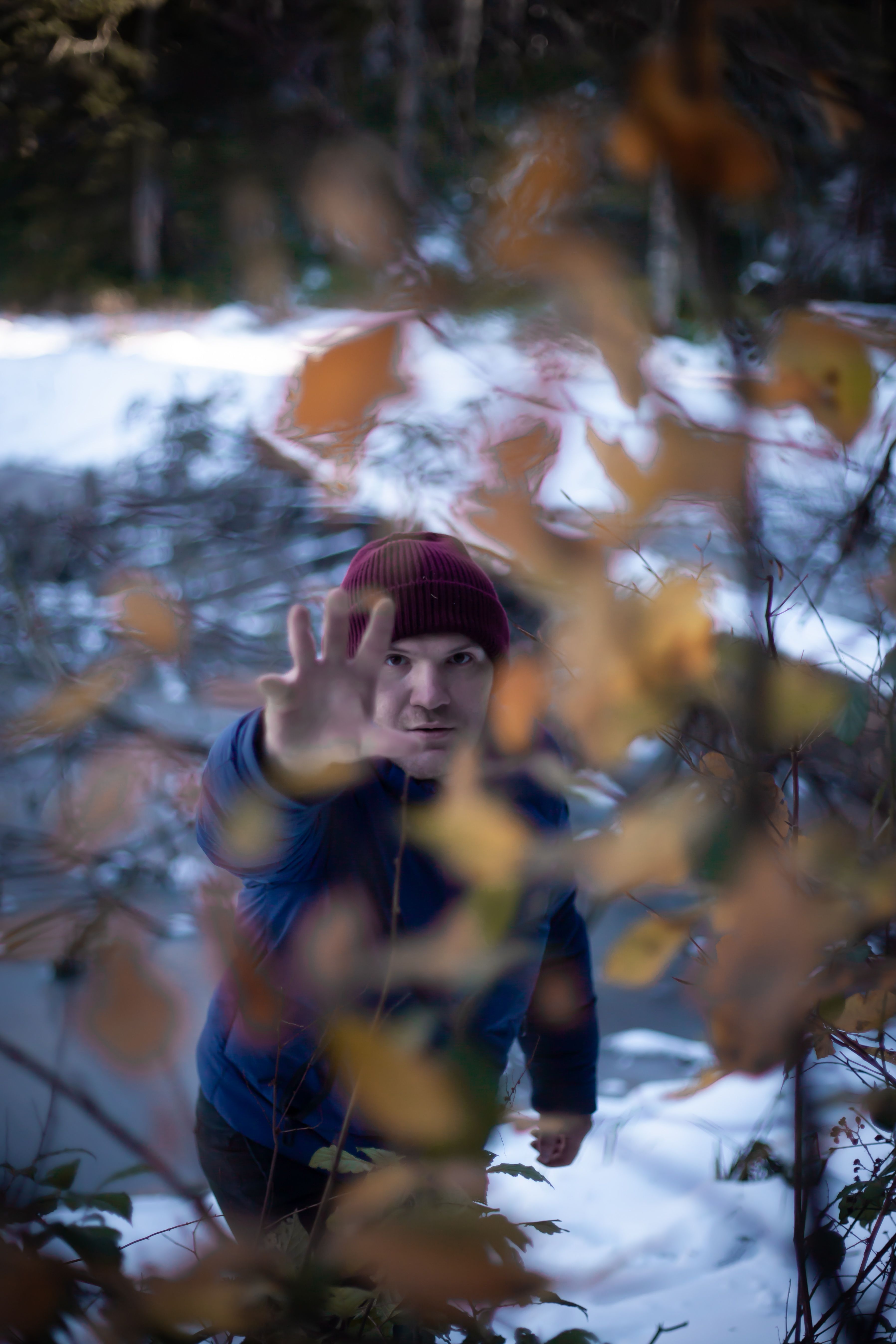 Man Standing behind a Tree and Reaching His Hand Toward the Camera ...