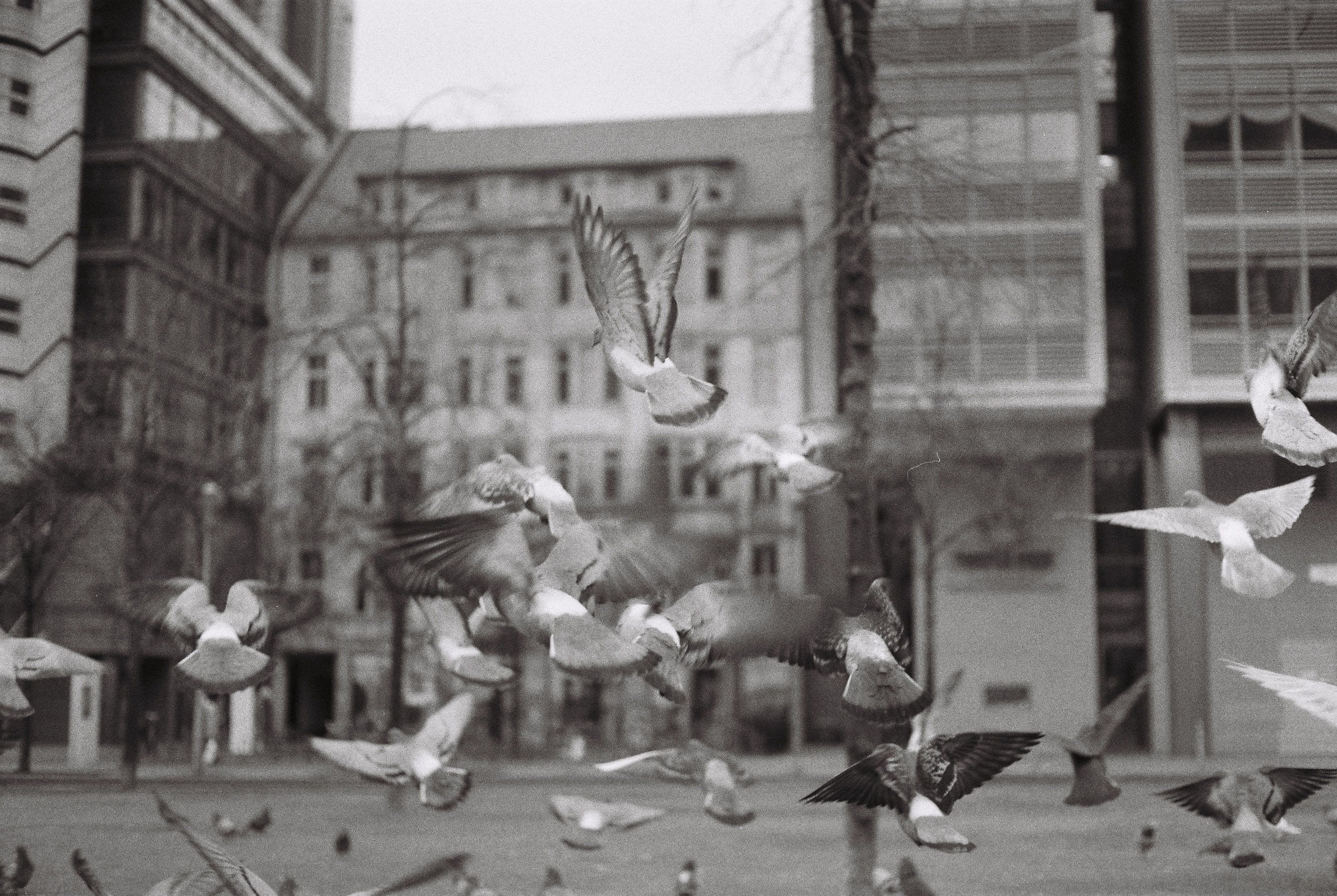 Marvin Machler - Photography