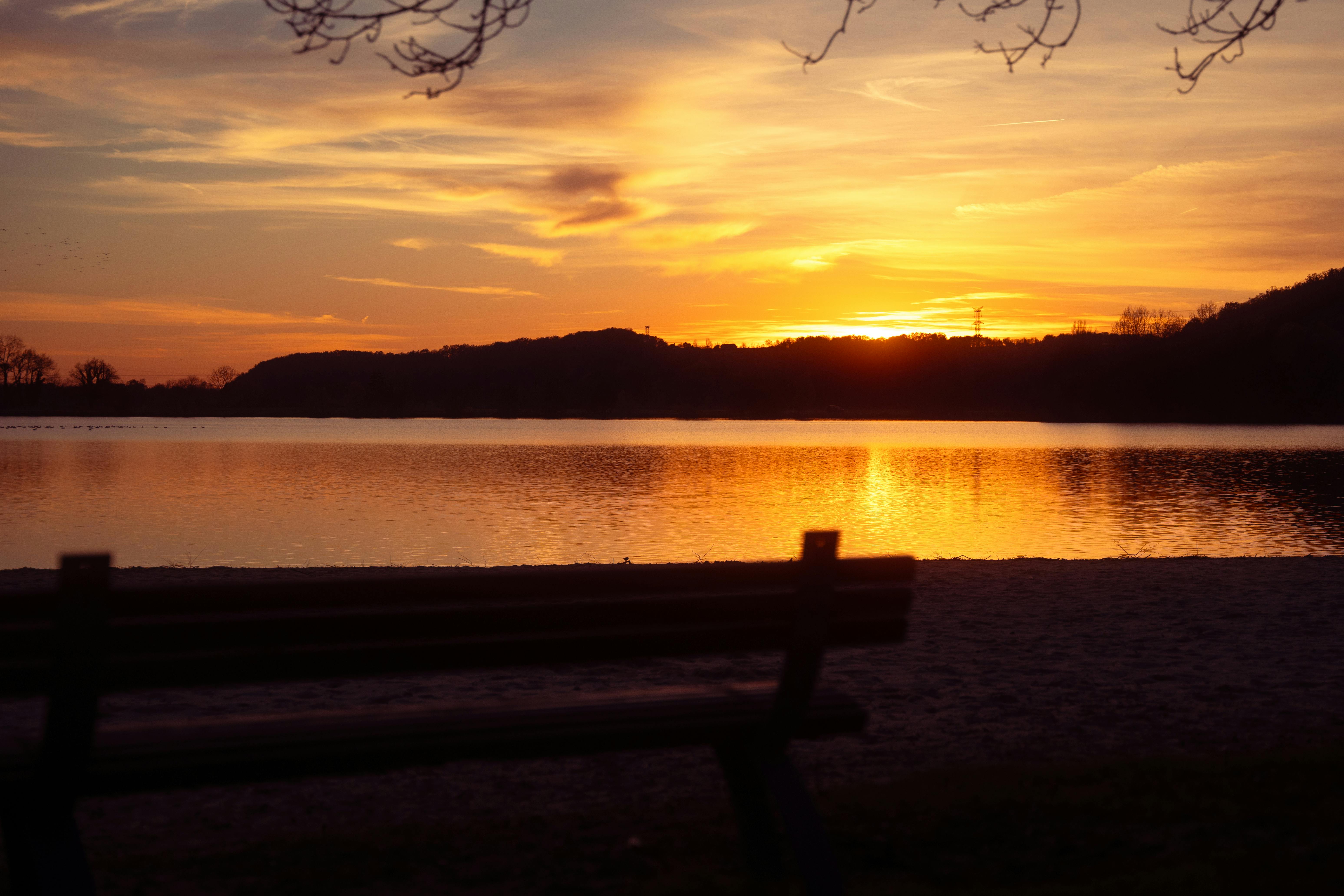 Harper Swan - Photography