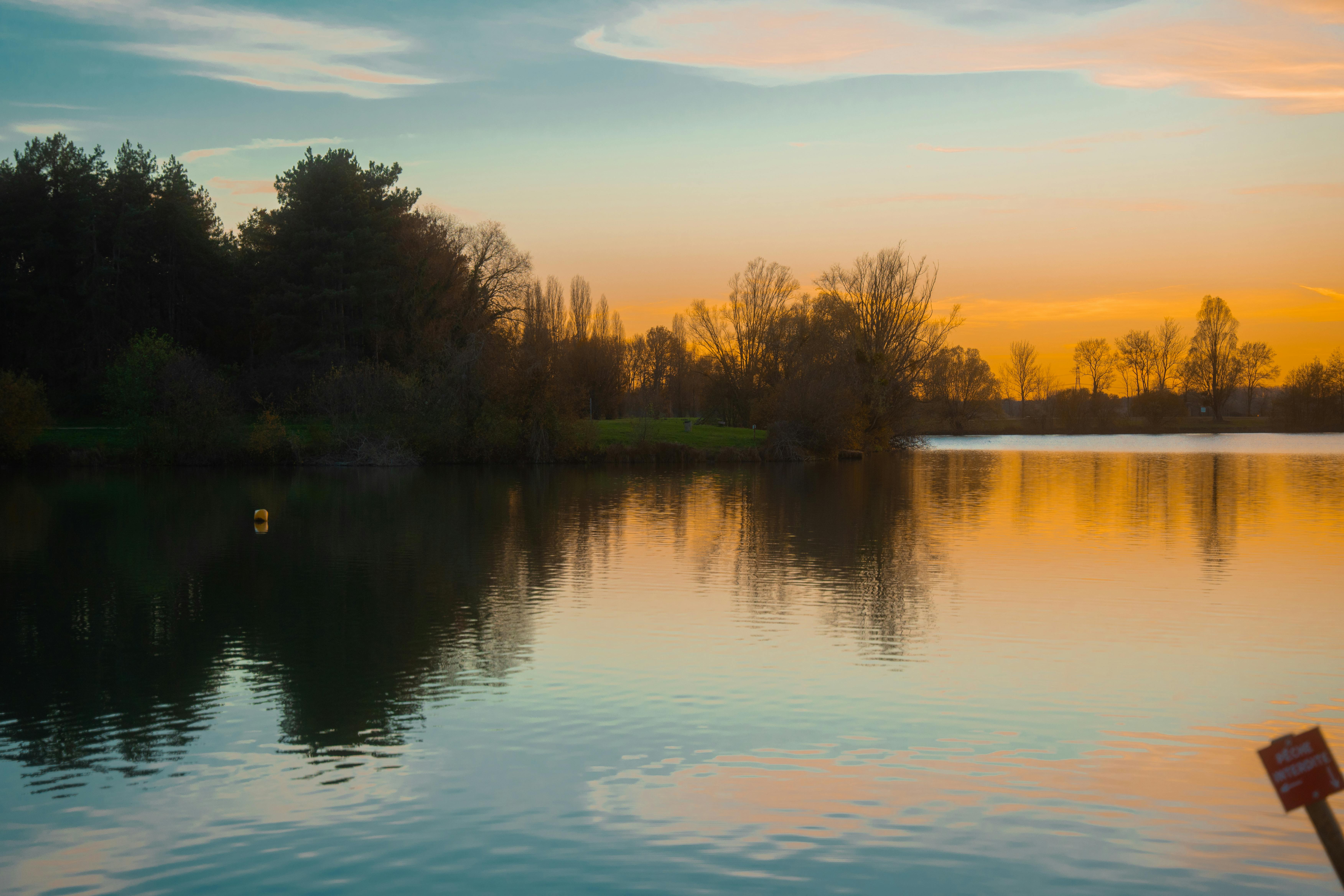 Harper Swan - Photography