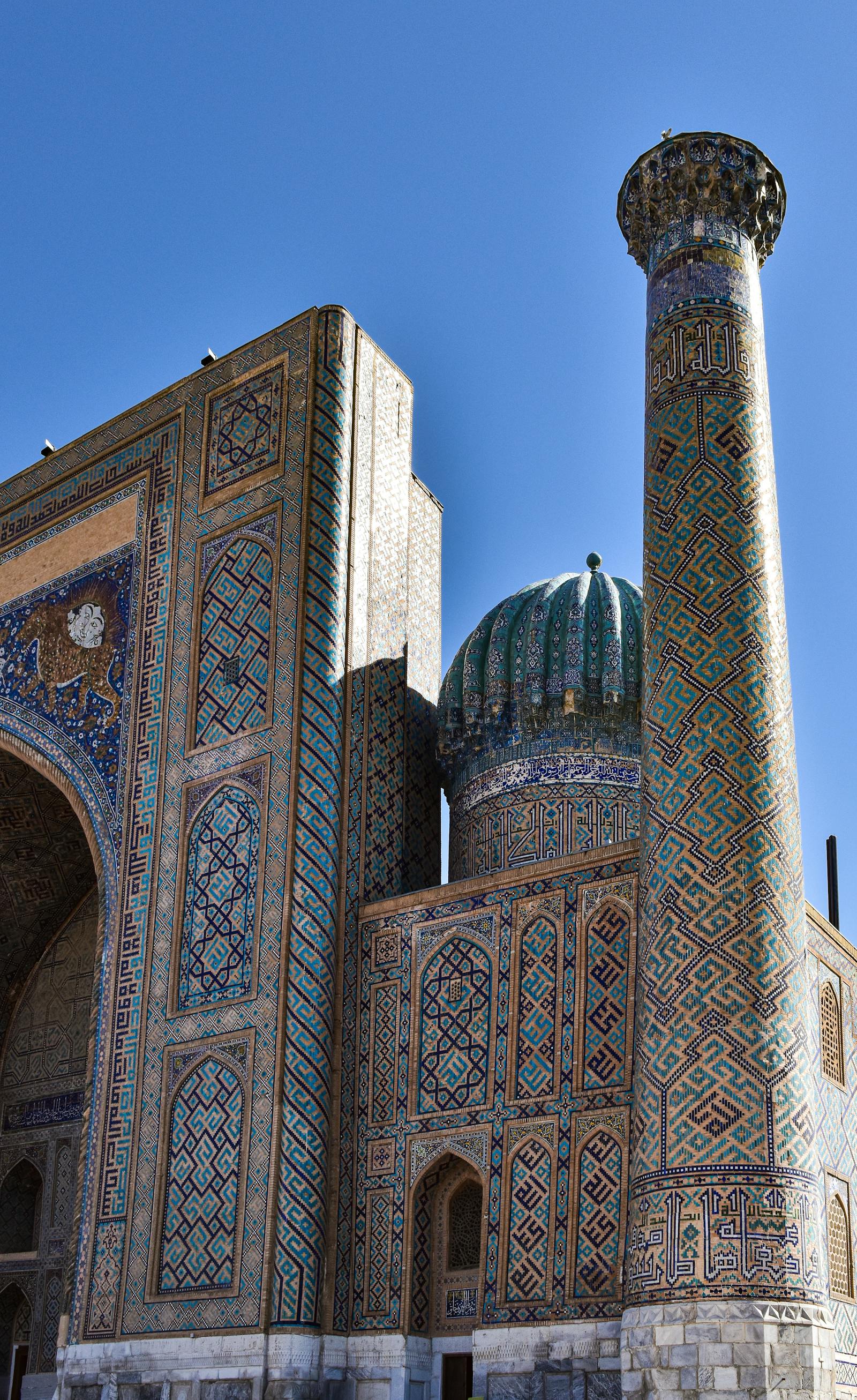 Sher Photos, Download The BEST Free Sher Stock Photos & HD Images