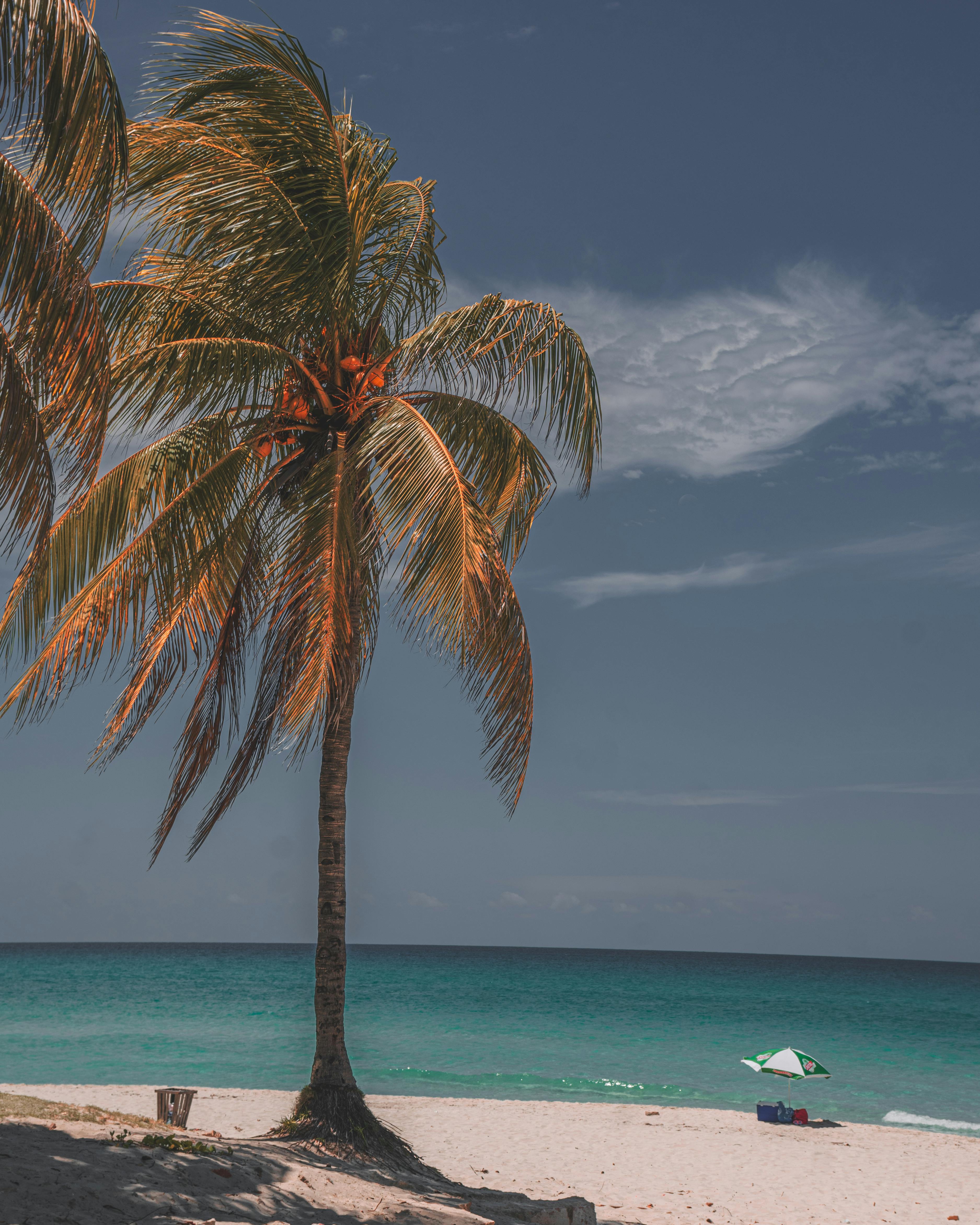 Ehsan Haque - Photography