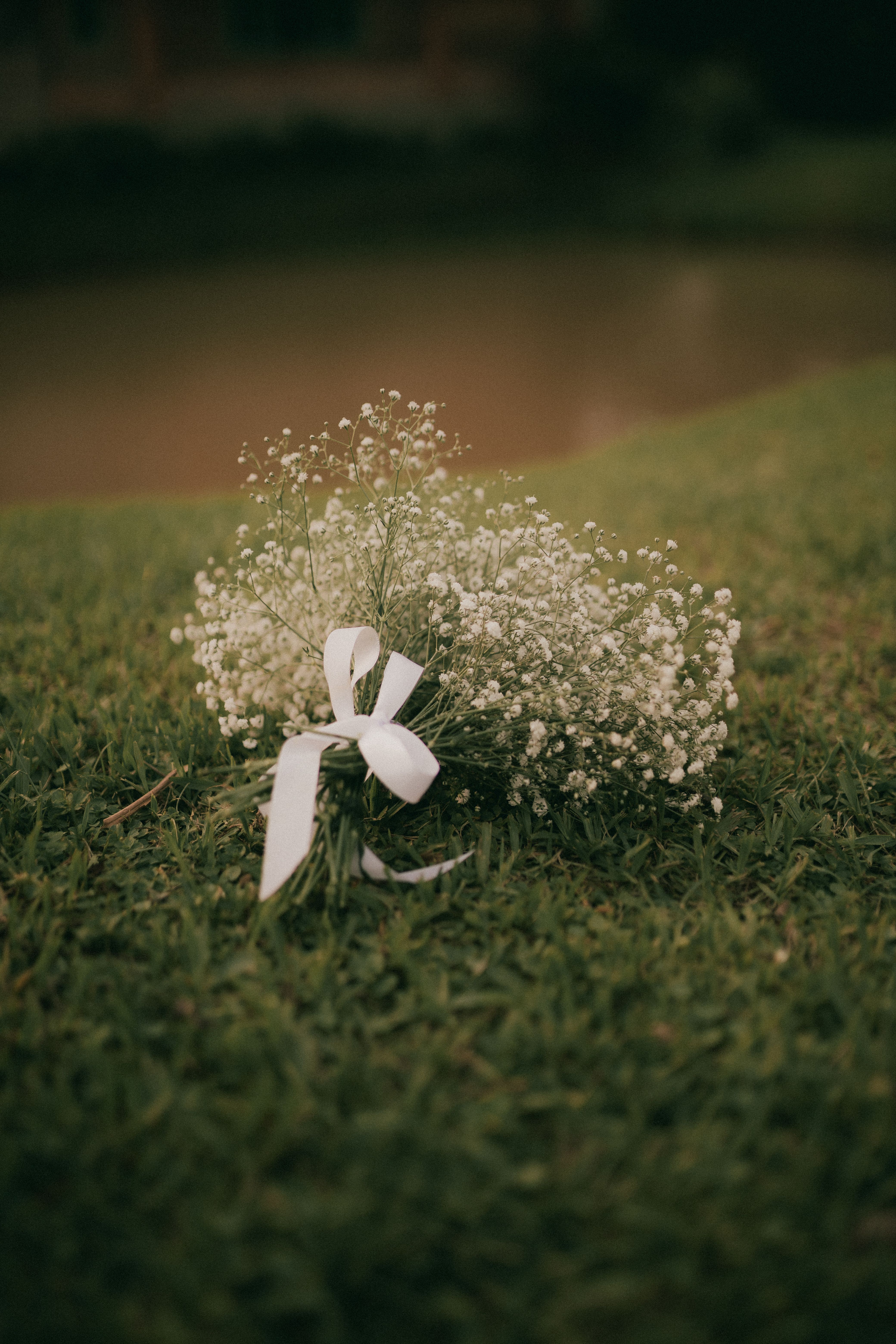Flowers Bouquet Tied with Ribbon · Free Stock Photo