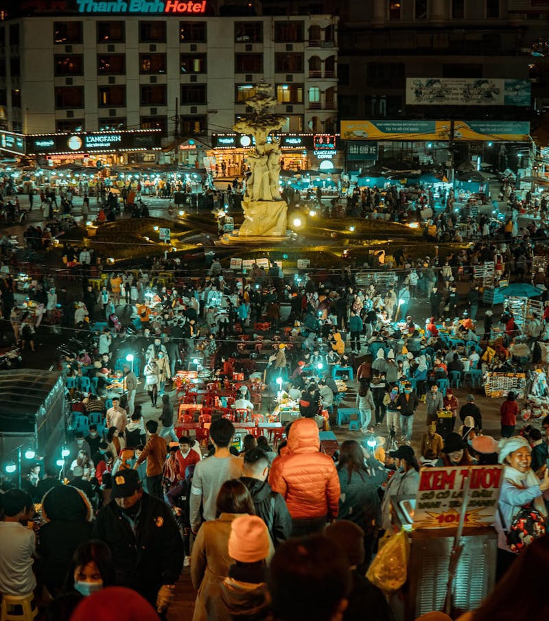 Hoa Photos, Download The BEST Free Hoa Stock Photos & HD Images