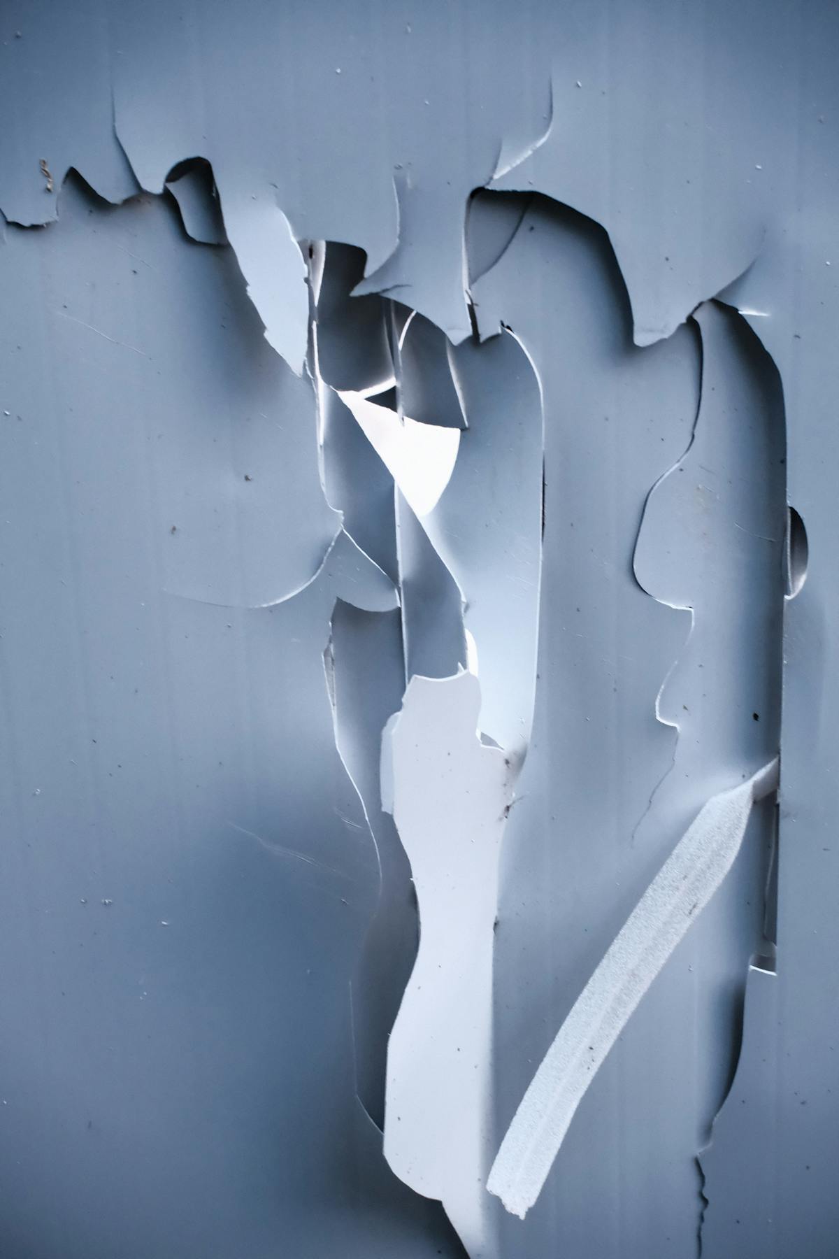 Broken Plastic Pallets Photos, Download The BEST Free Broken Plastic ...