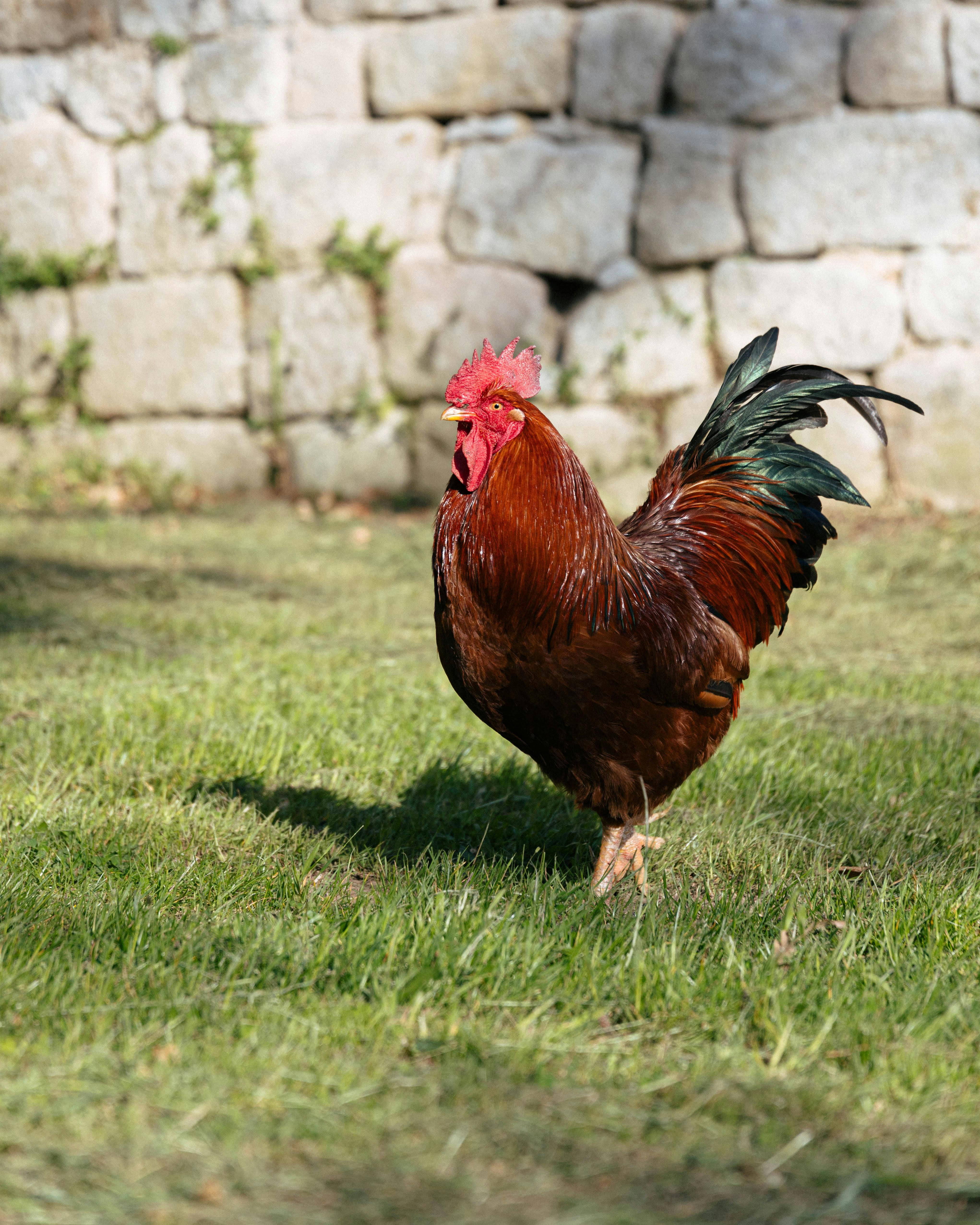 10+ melhores imagens de Beijinho · Download 100% grátis · Fotos ...
