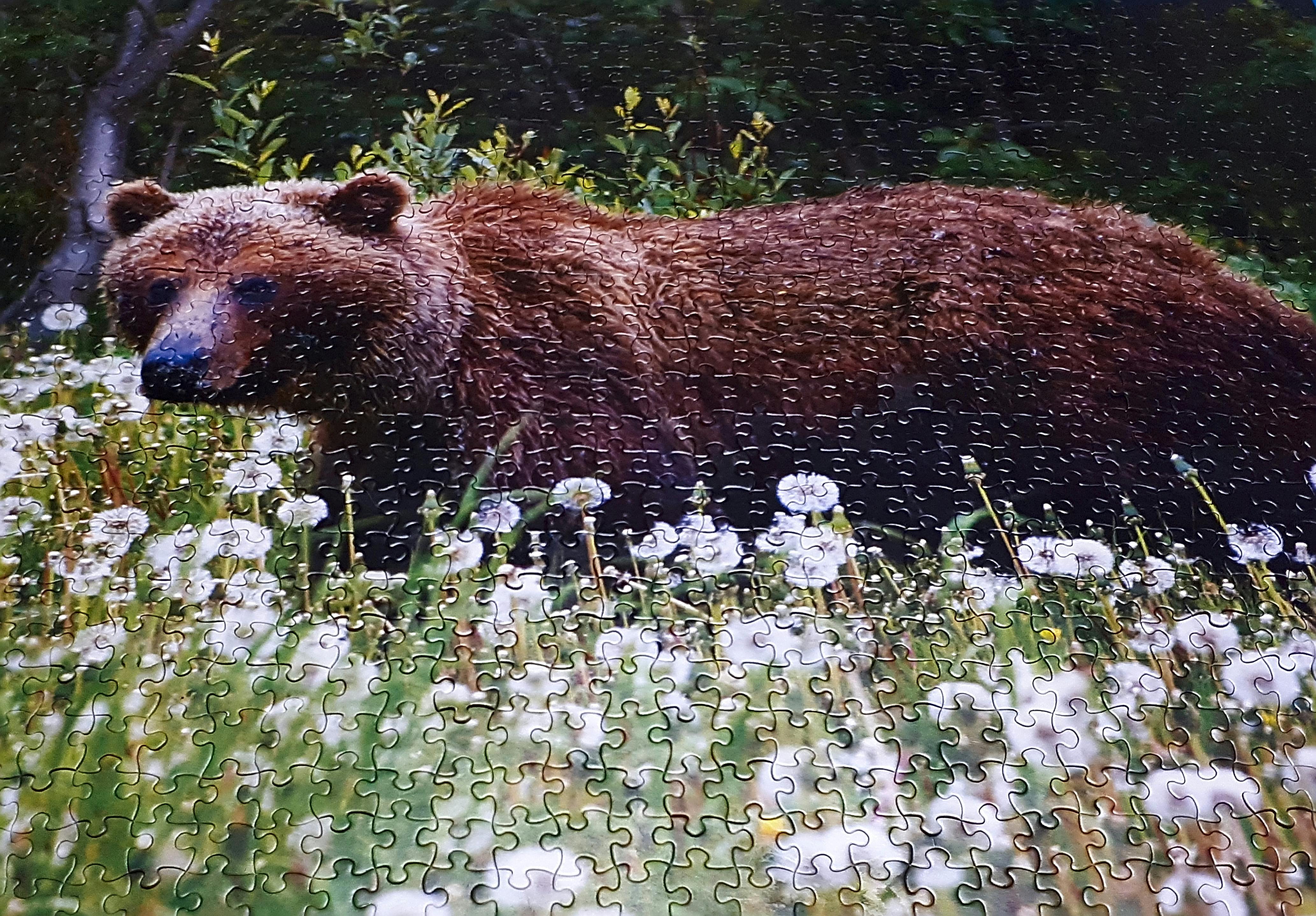 James Ranieri - Photography