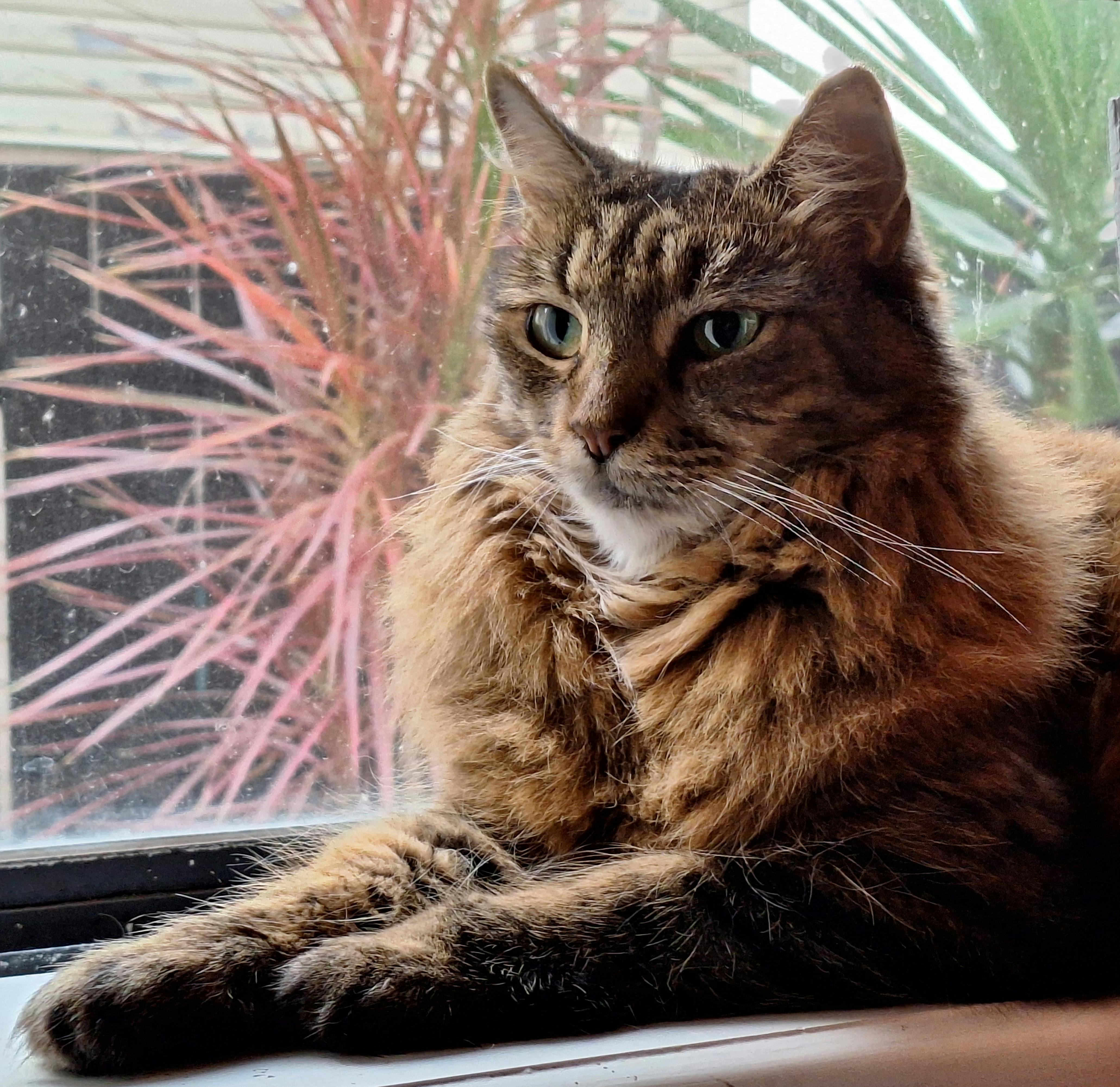 James Ranieri - Photography