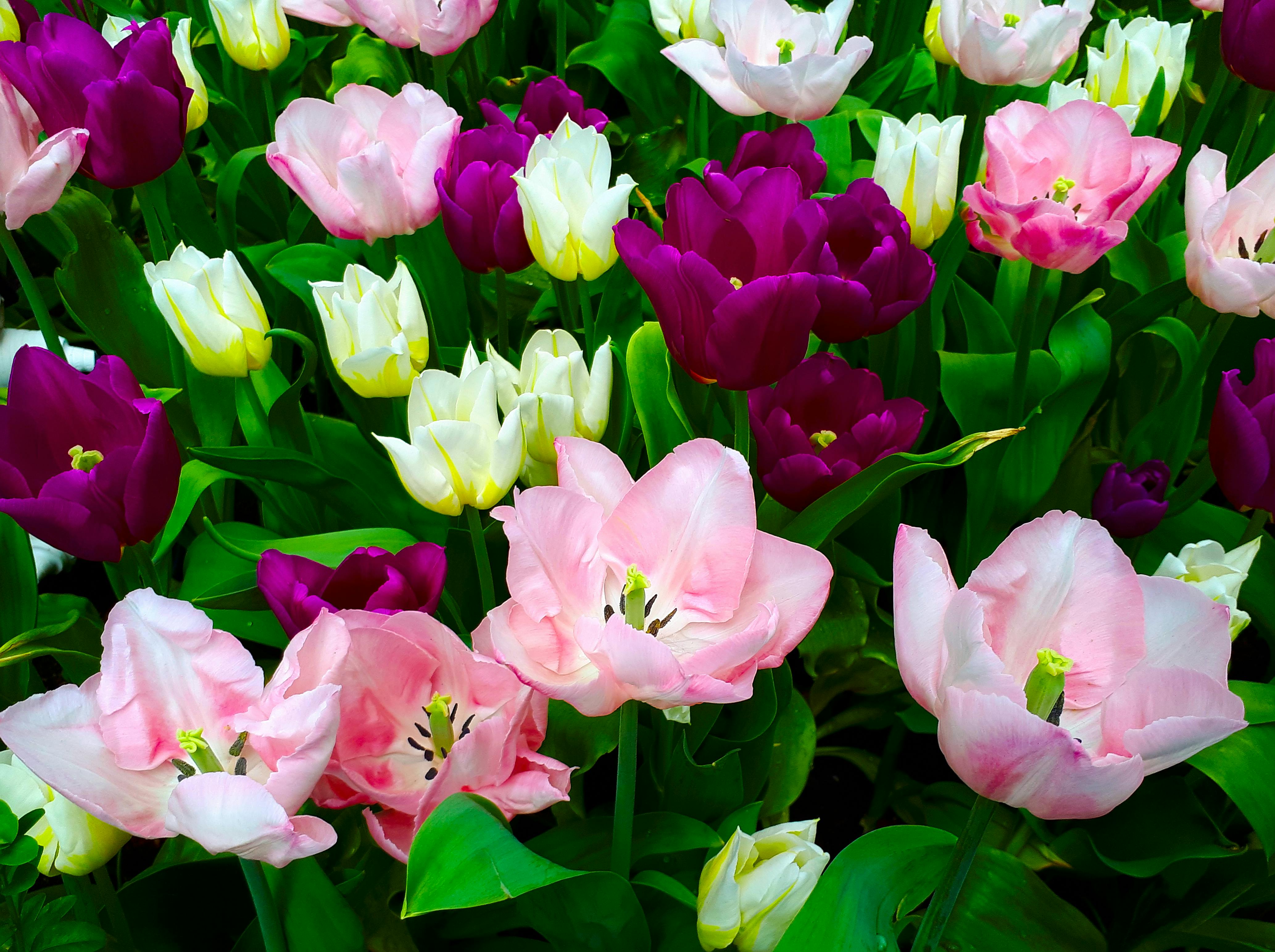 James Ranieri - Photography