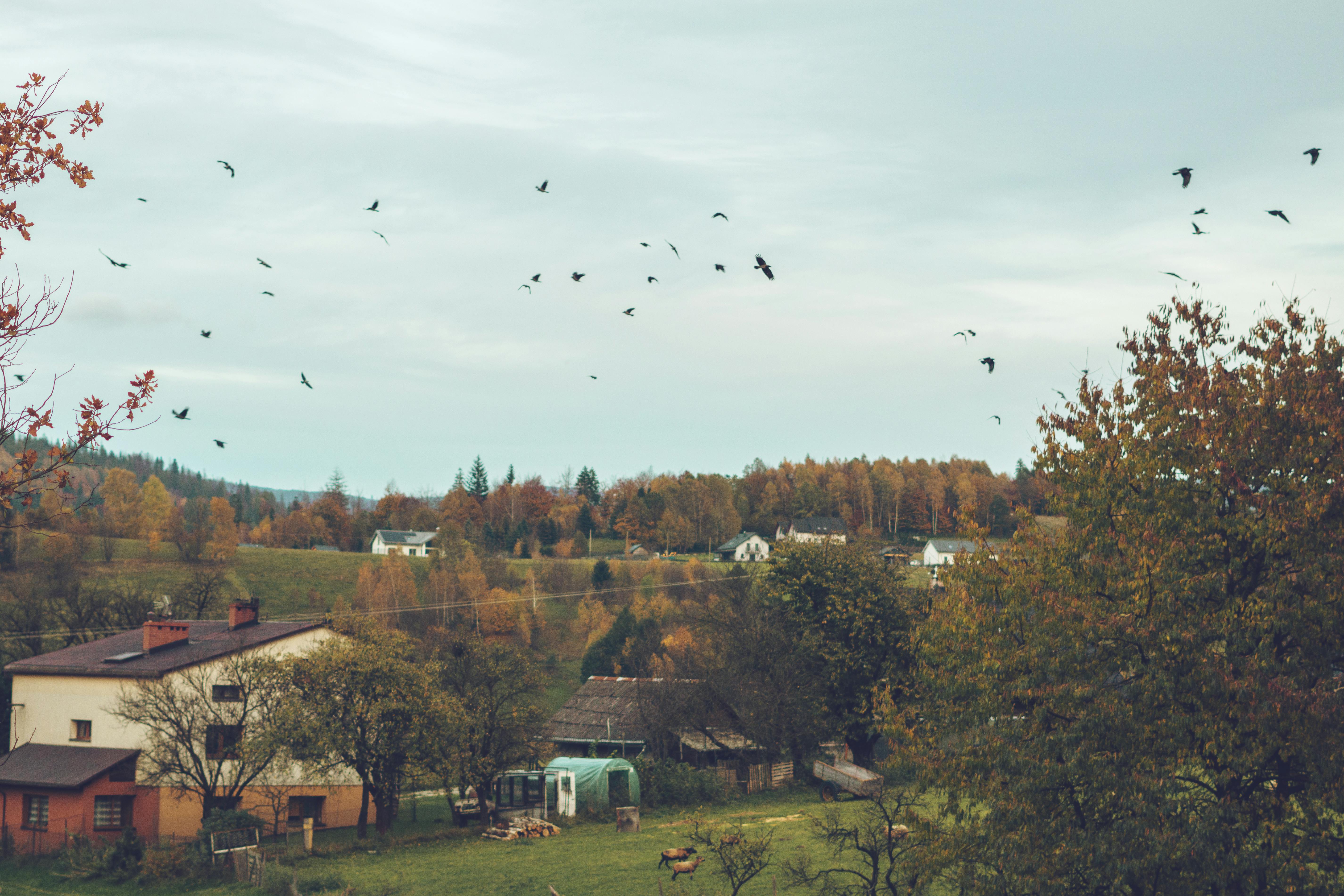 Cottage Core Photos, Download The BEST Free Cottage Core Stock Photos ...