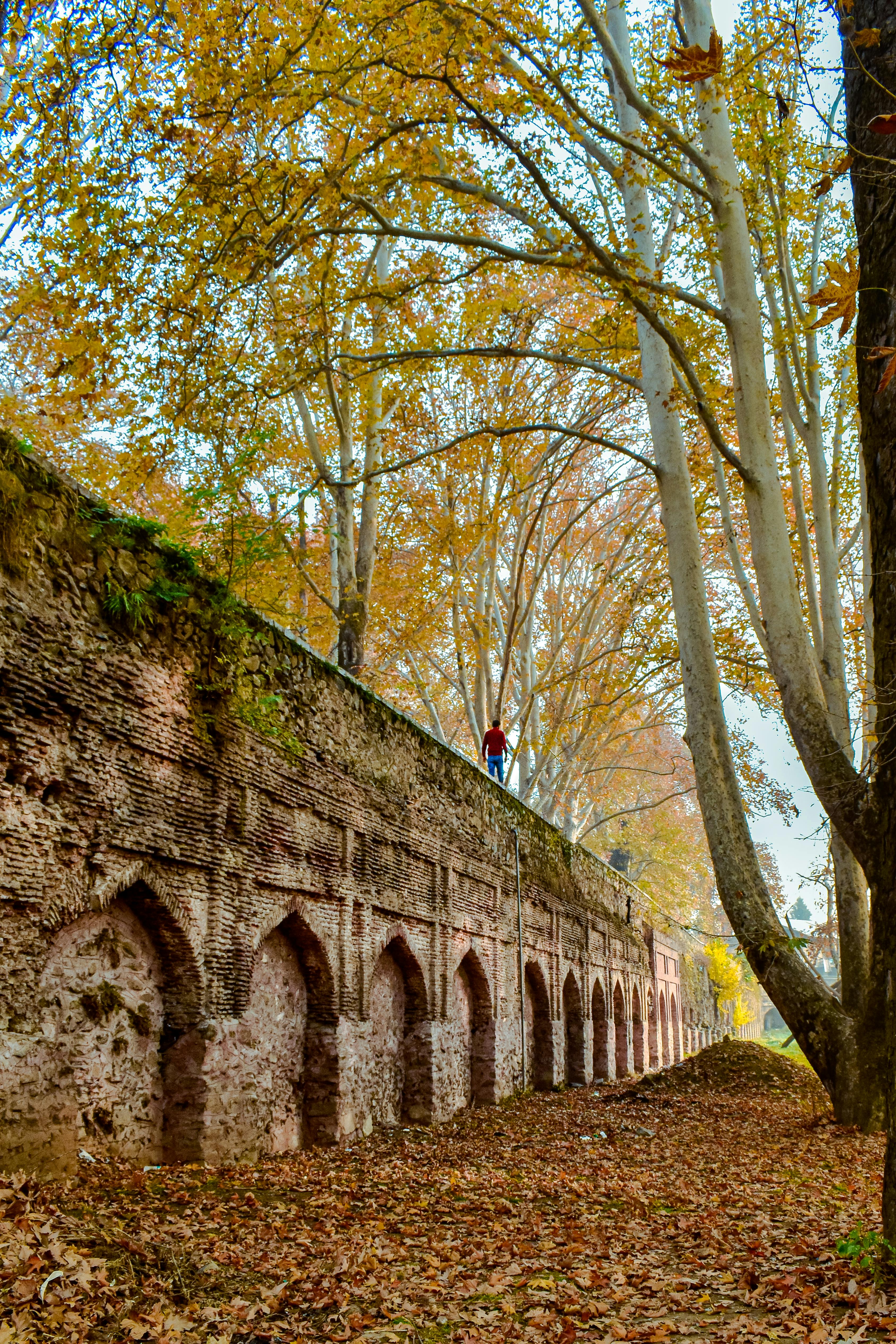 Mughal Style Retaining Wall in Autumn · Free Stock Photo