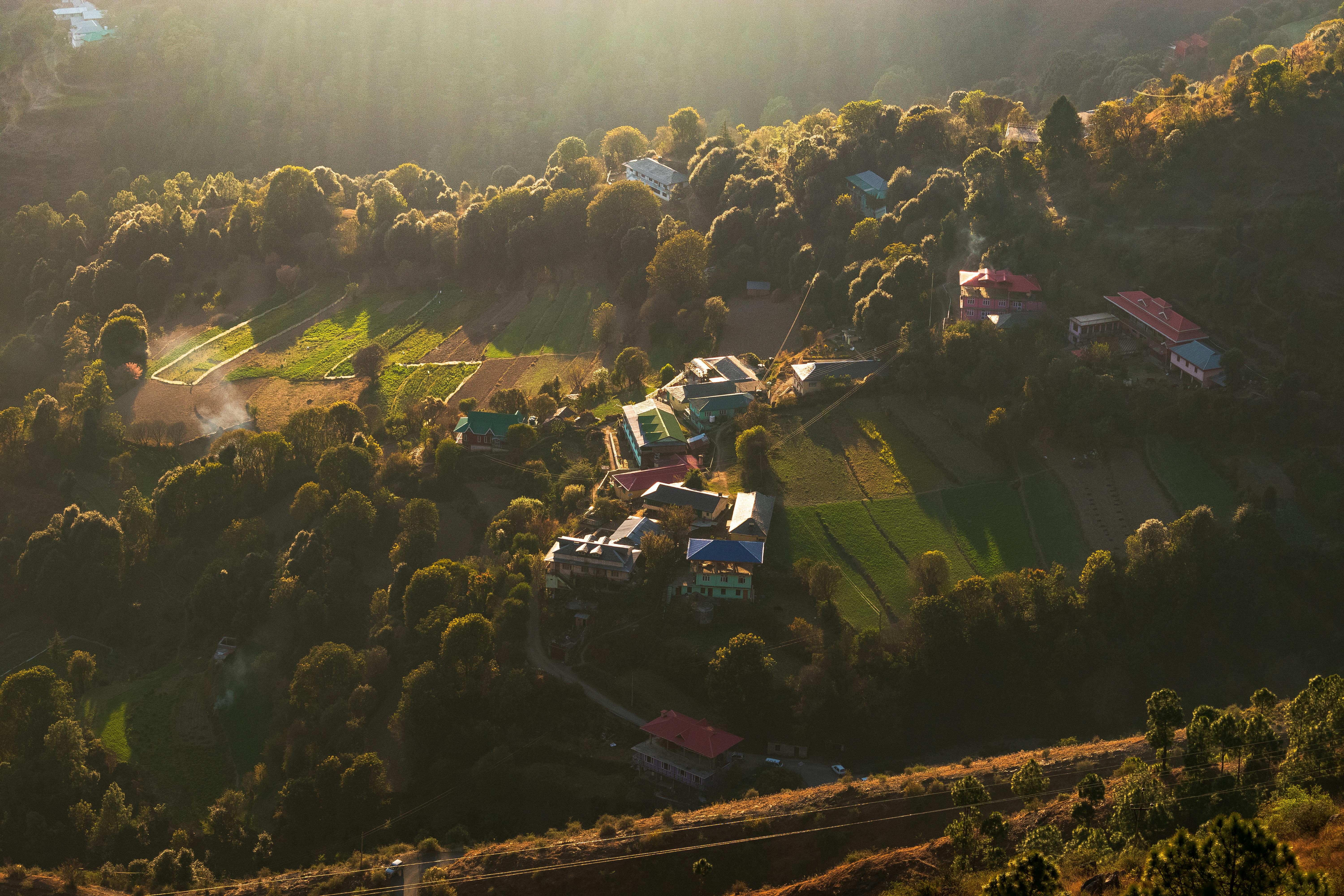 Village in Forest · Free Stock Photo