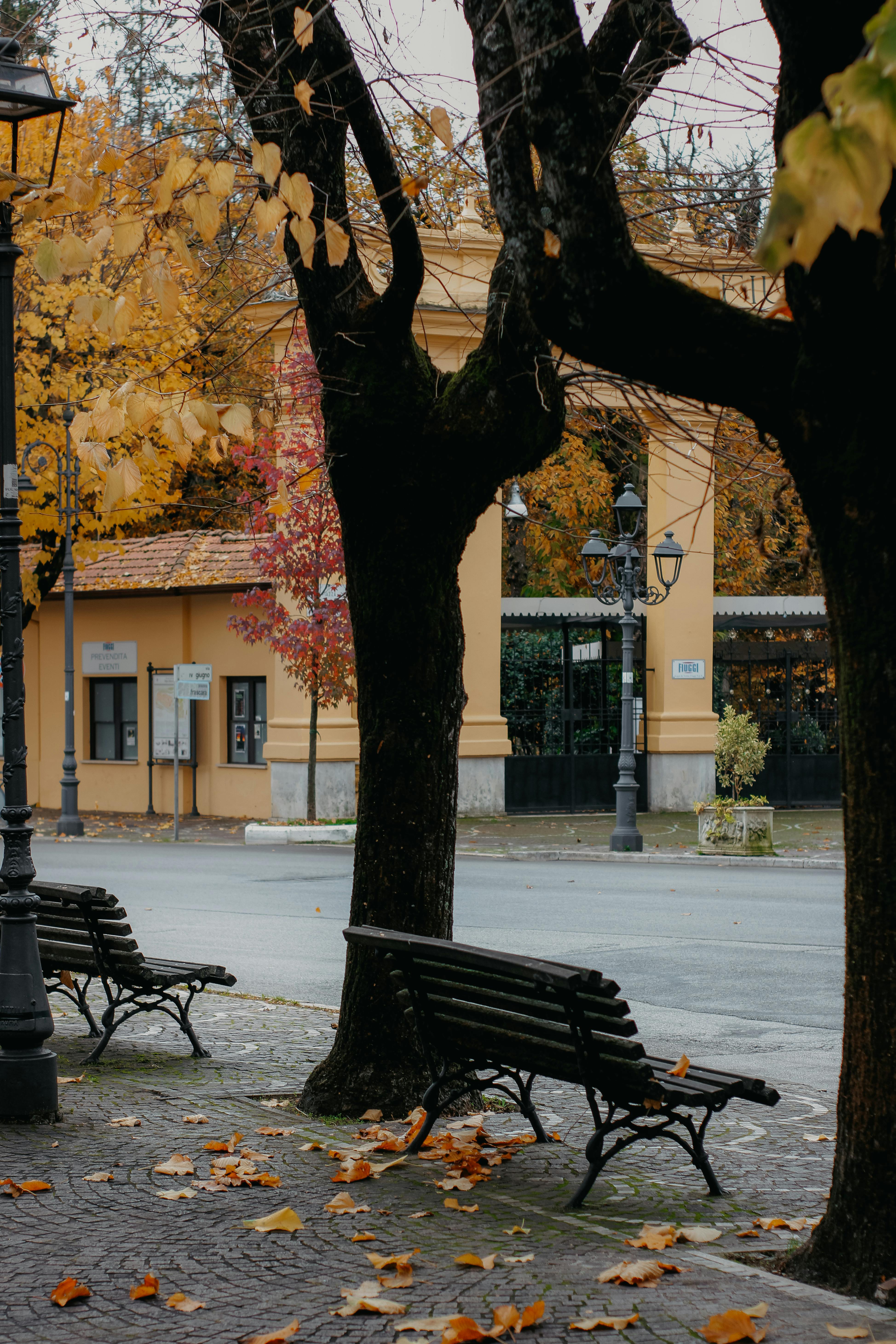 Trees and Shadow over Street in Town · Free Stock Photo