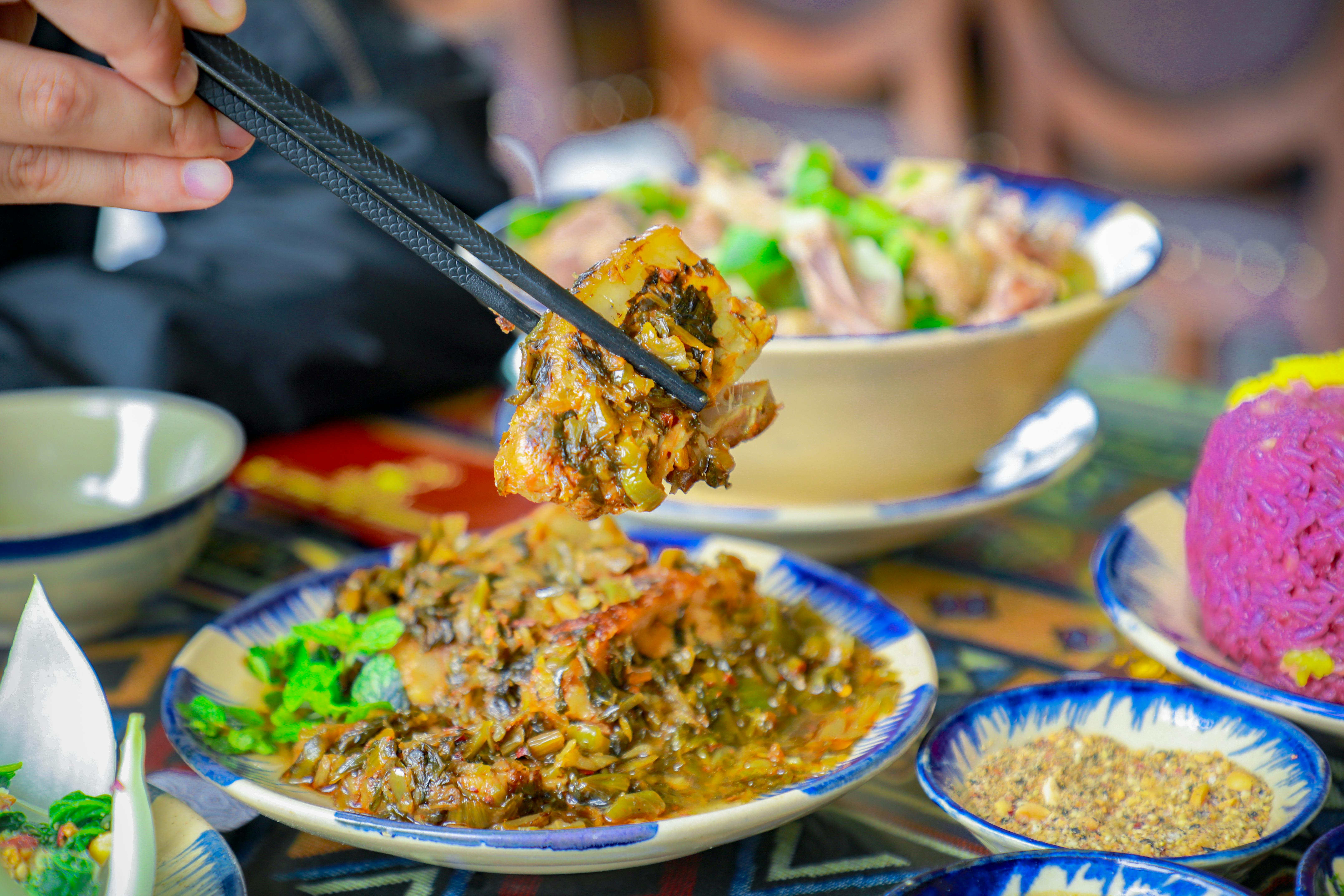 Woman Holding Food on Plate and with Dumplings · Free Stock Photo