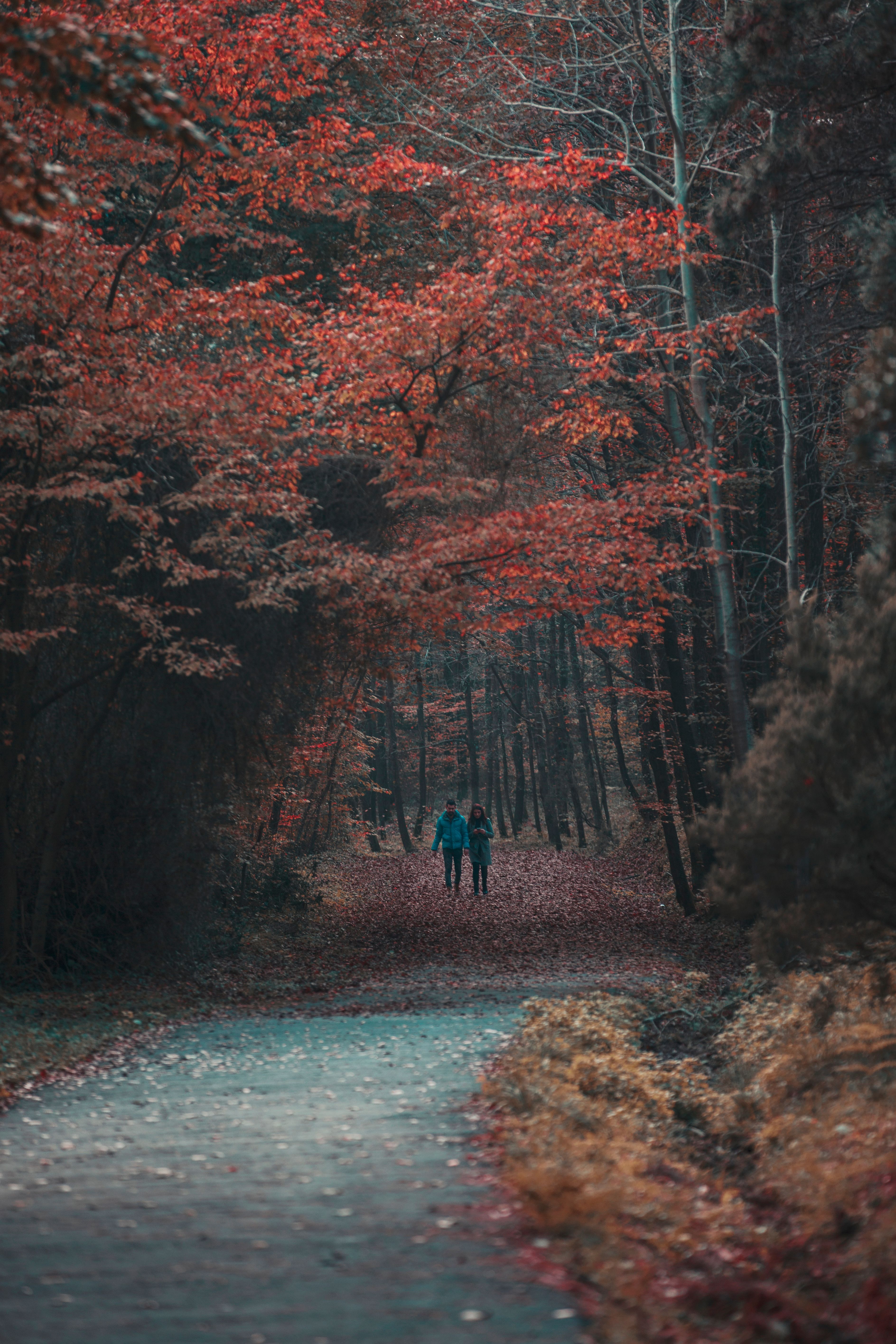 Cgi Scenery Photos, Download The BEST Free Cgi Scenery Stock Photos ...