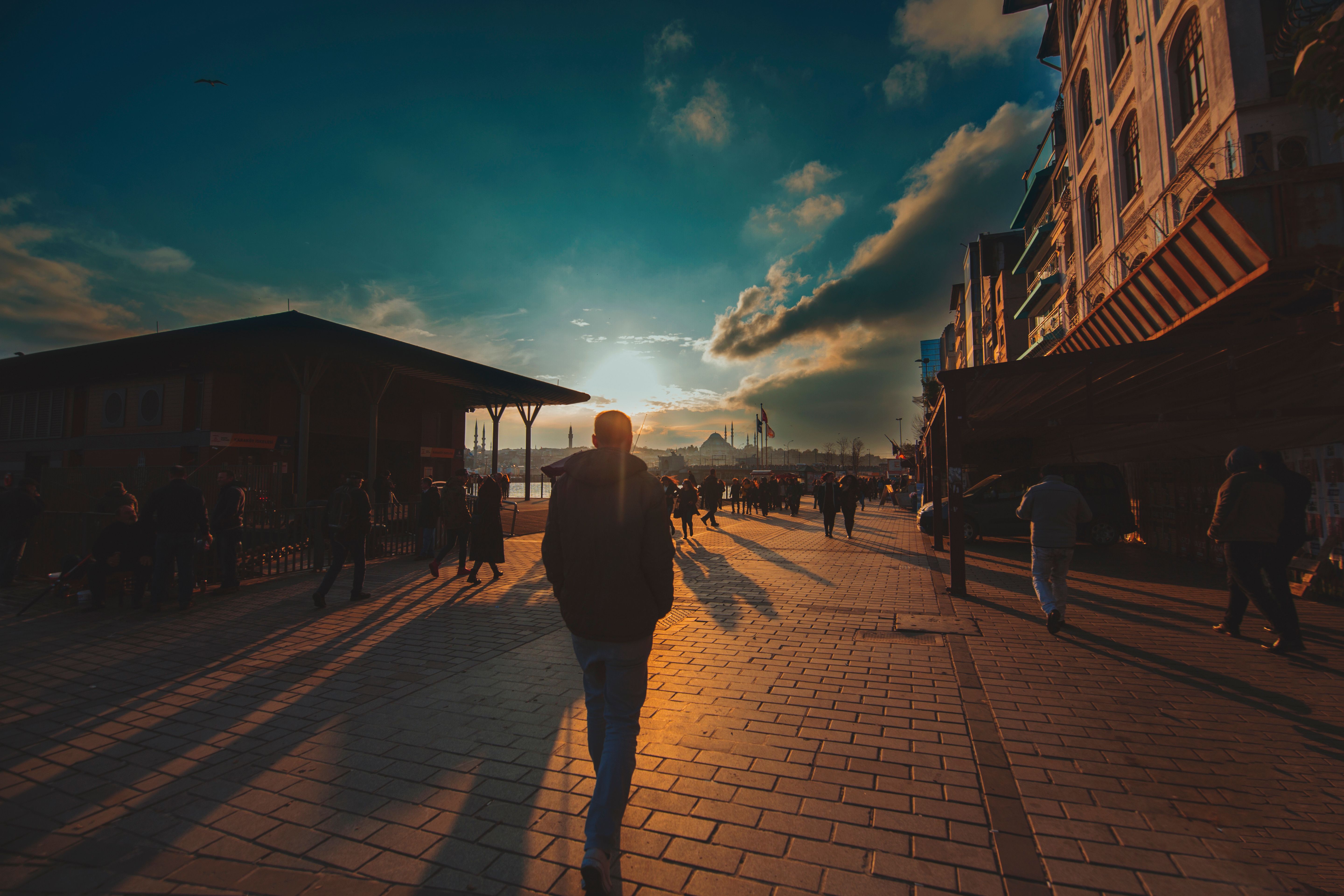 Turuncu Sakal - Photography