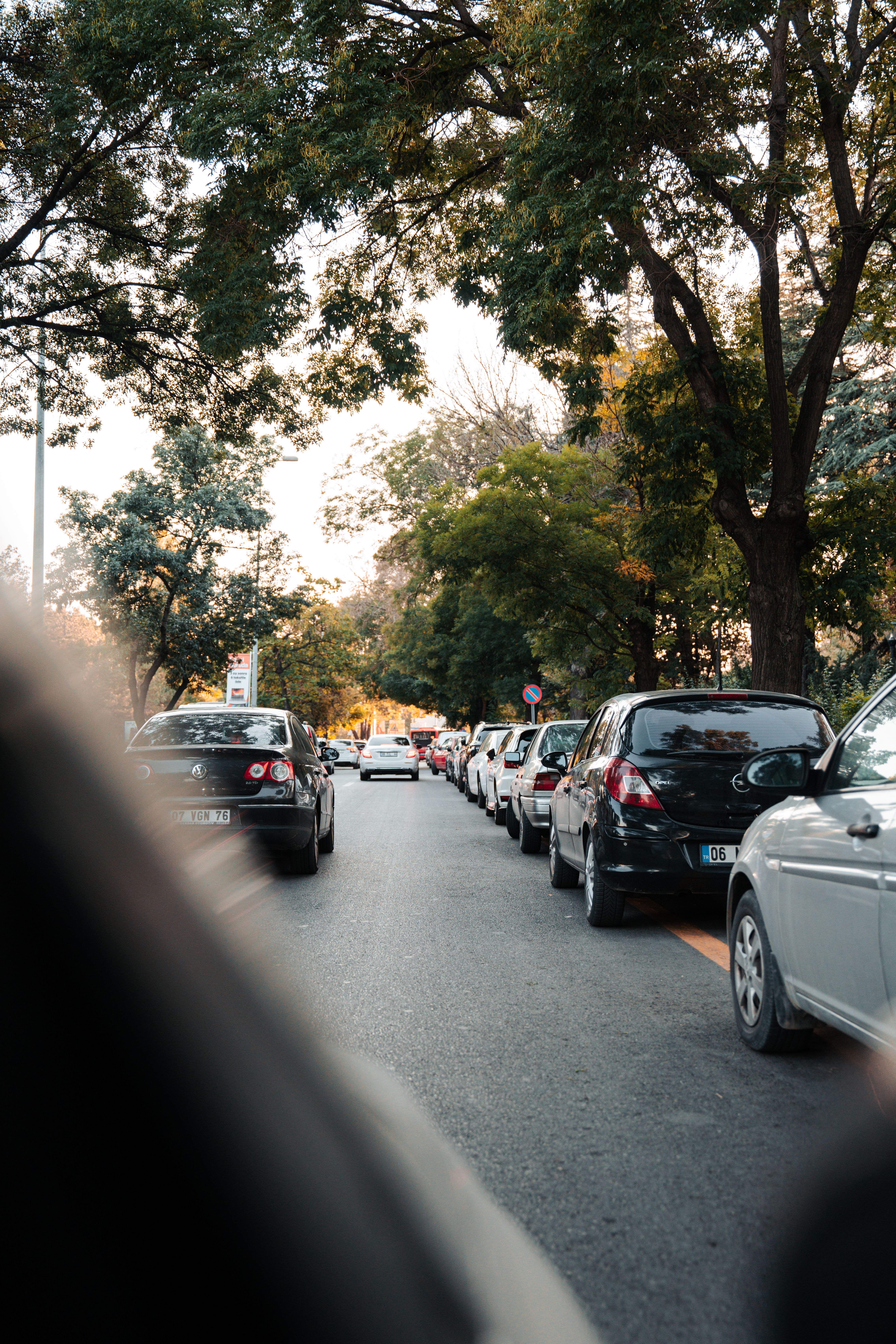 Cars on a Street Among Trees · Free Stock Photo