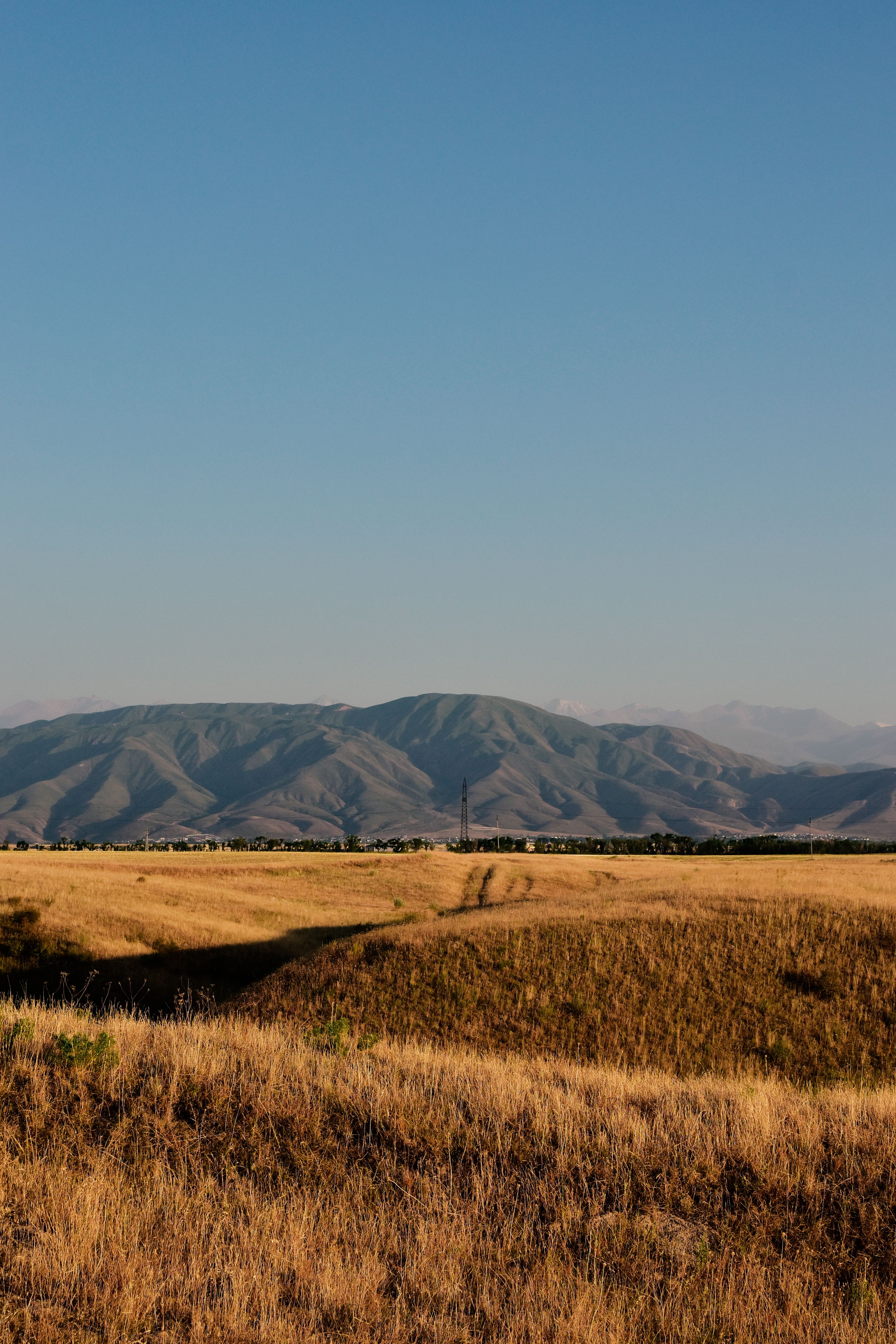 STEPPE · Free Stock Photo