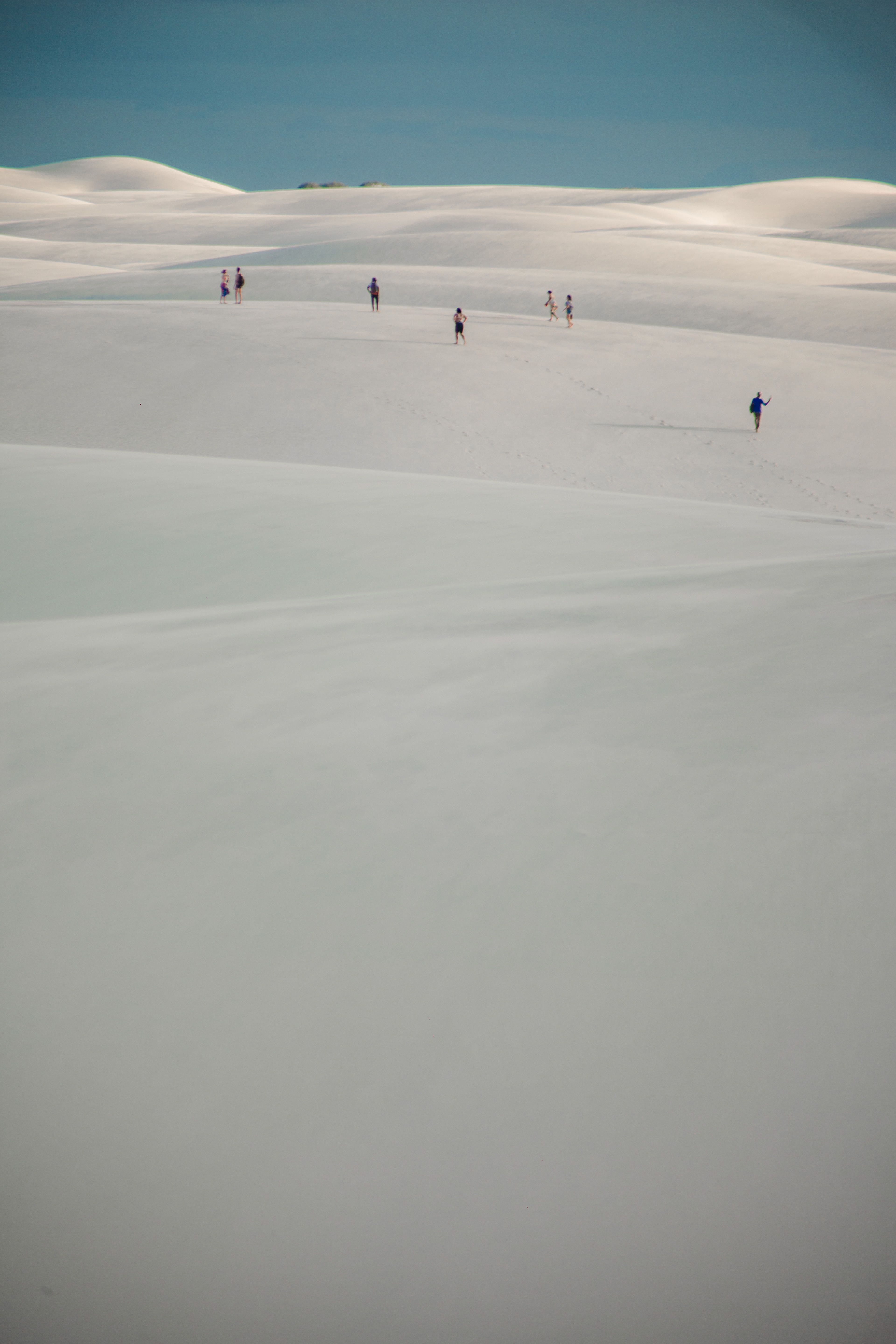 People on a Dune by the Sea · Free Stock Photo