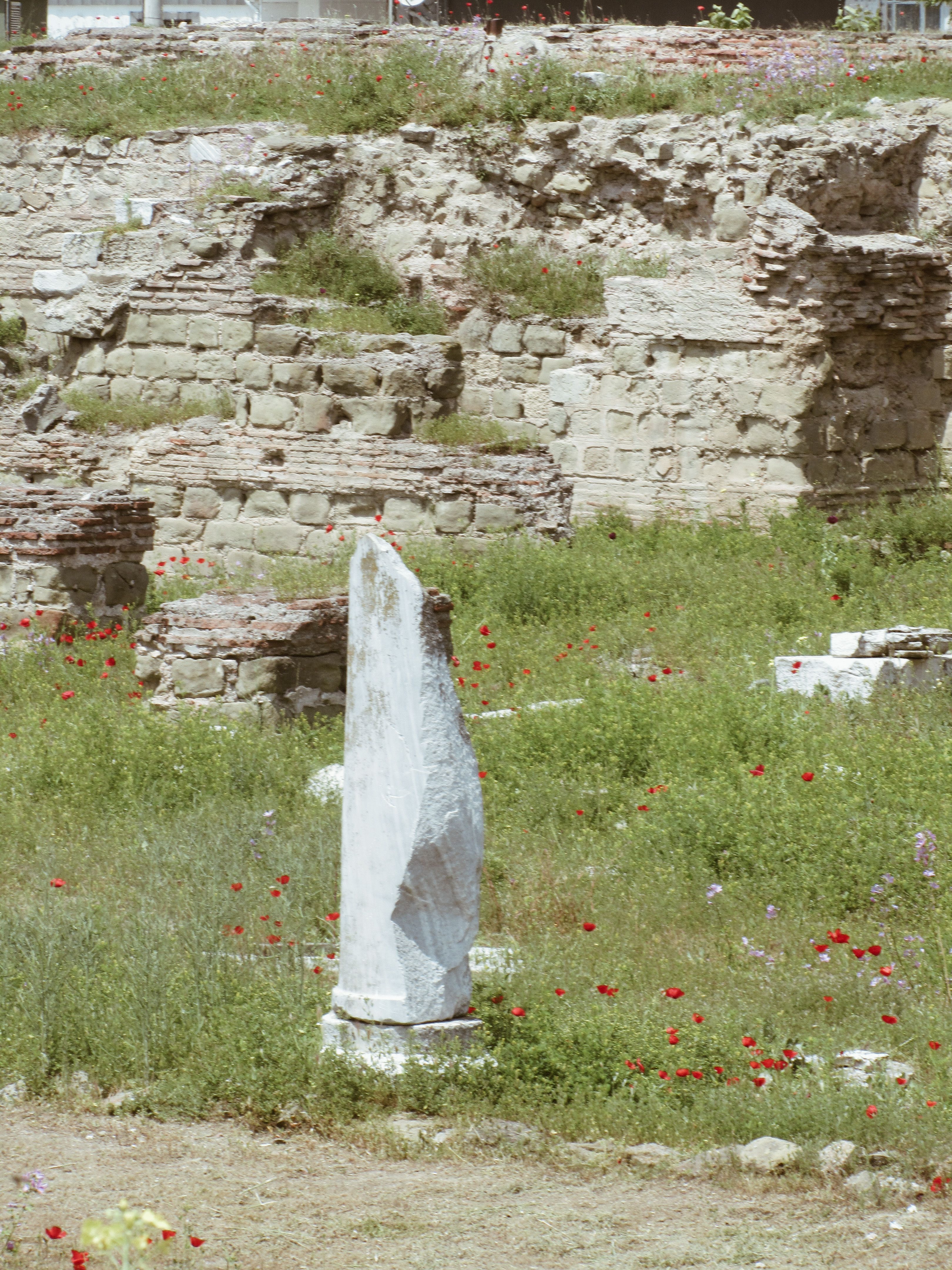 Old Ruin in Grass and Poppies · Free Stock Photo