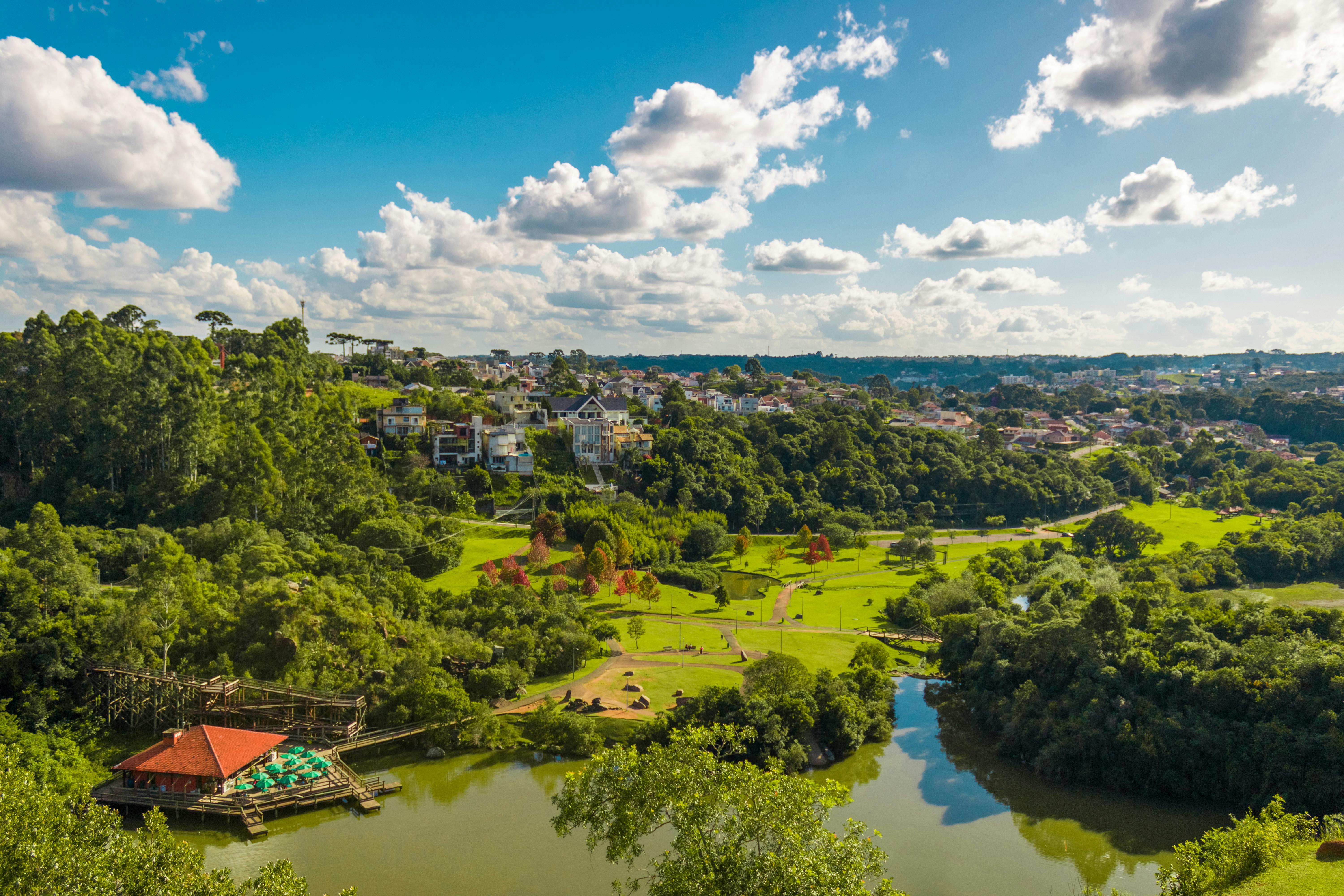 Amazon Rainforest in Birds Eye View · Free Stock Photo