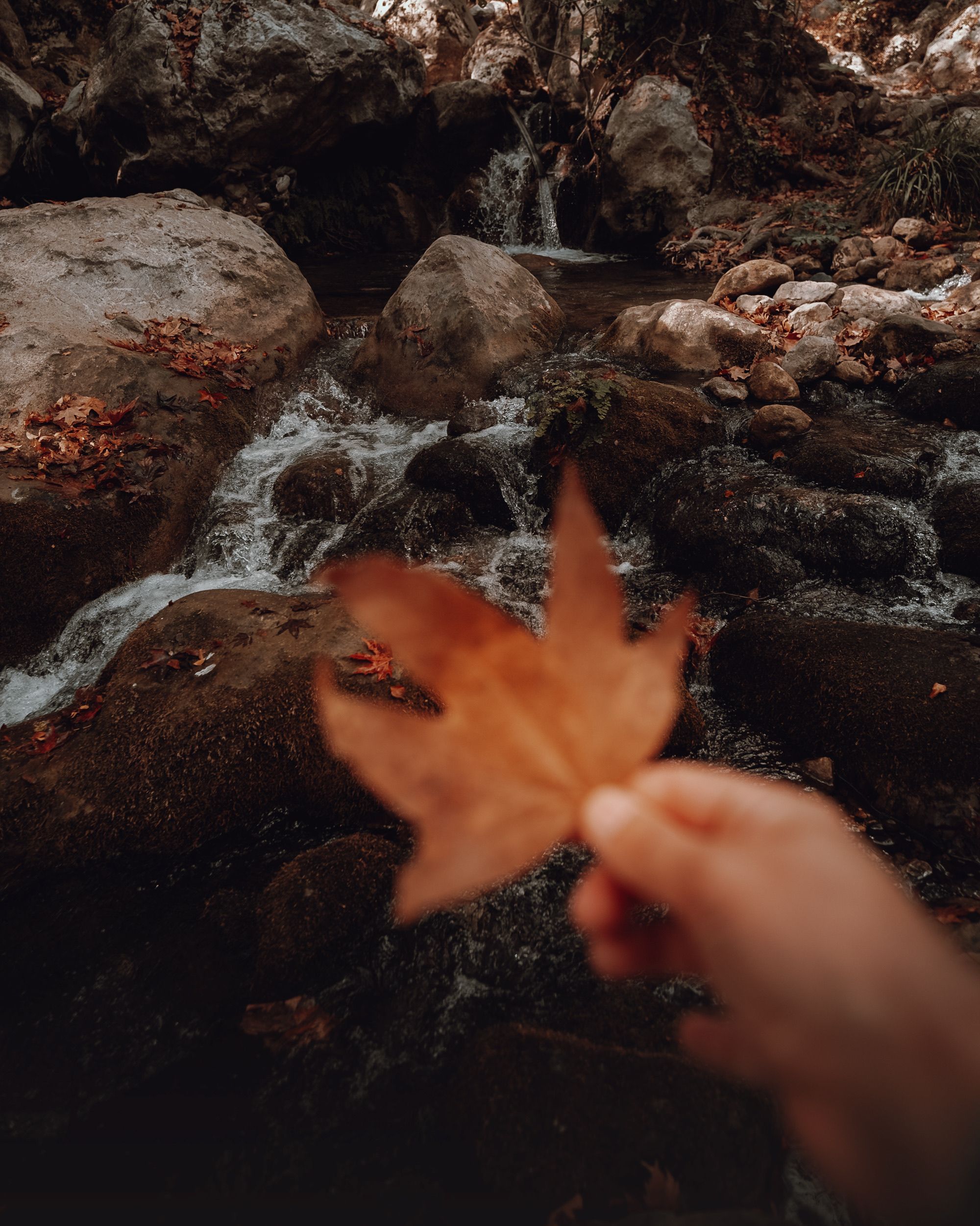 Stream on Rocks Behind Leaf in Hand · Free Stock Photo
