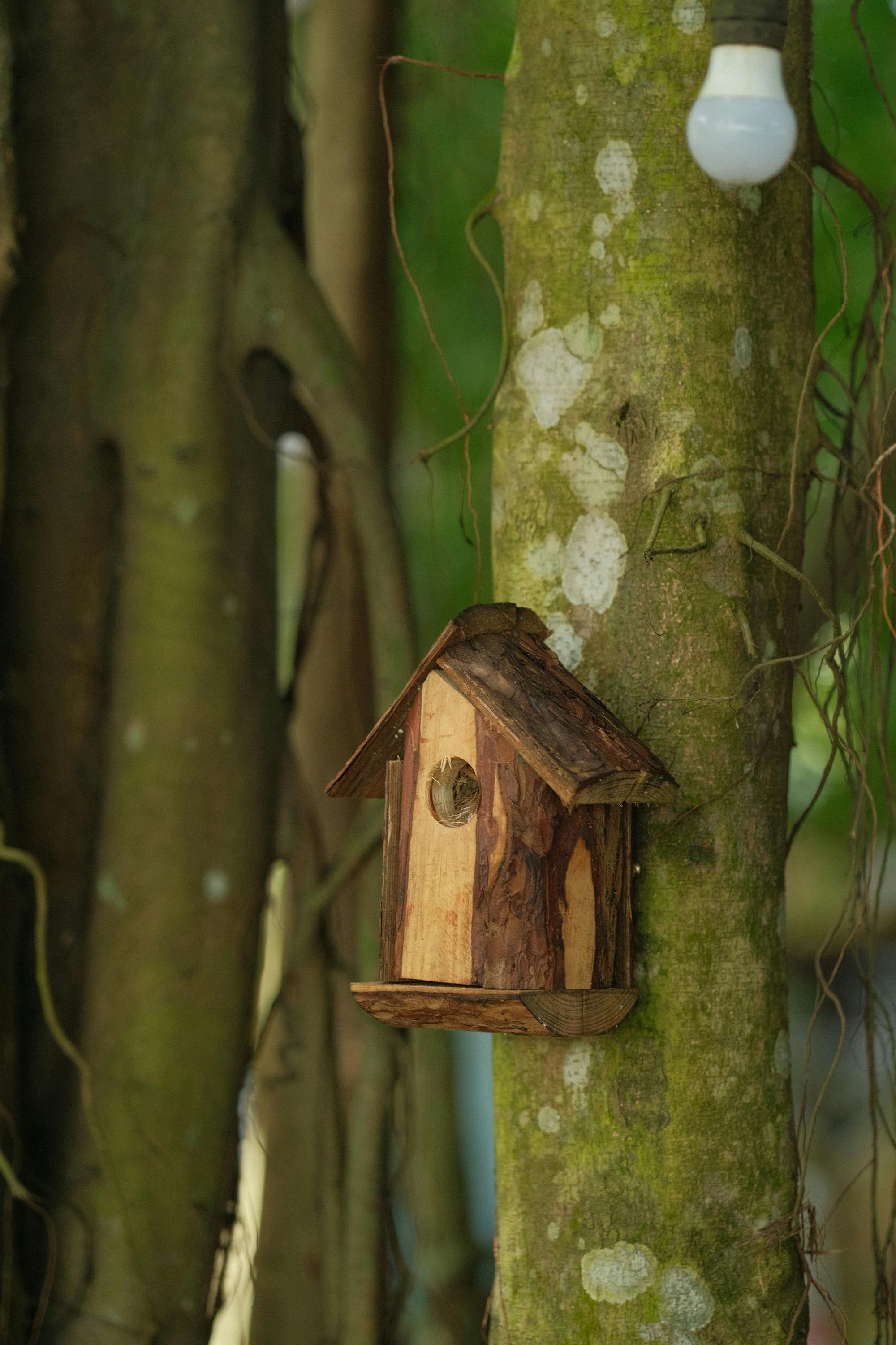 White Birdhouse · Free Stock Photo