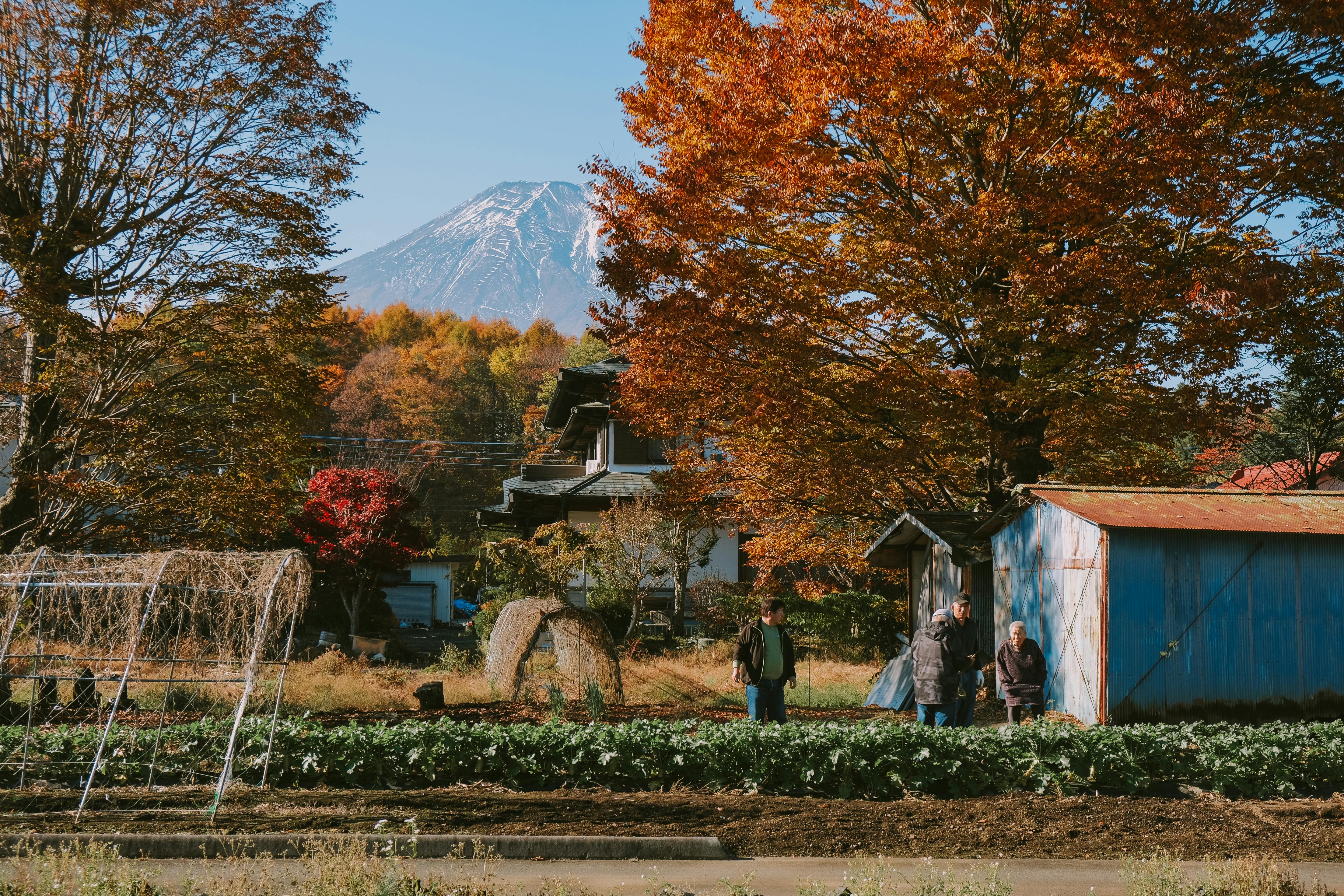 Five People Jumping In Open Field · Free Stock Photo