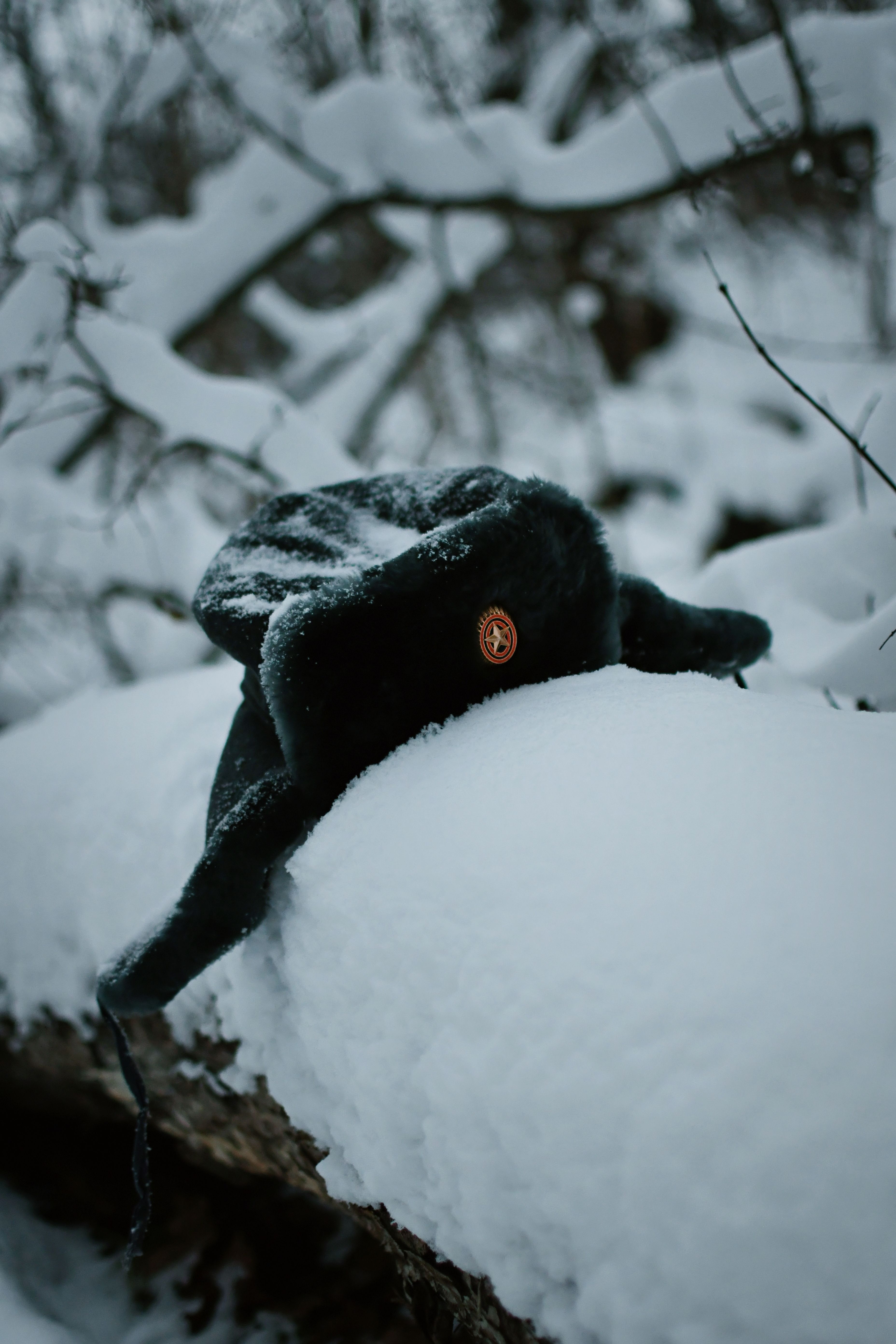Snow Covered Ushanka with a Star Badge Left on a Log in the Forest ...