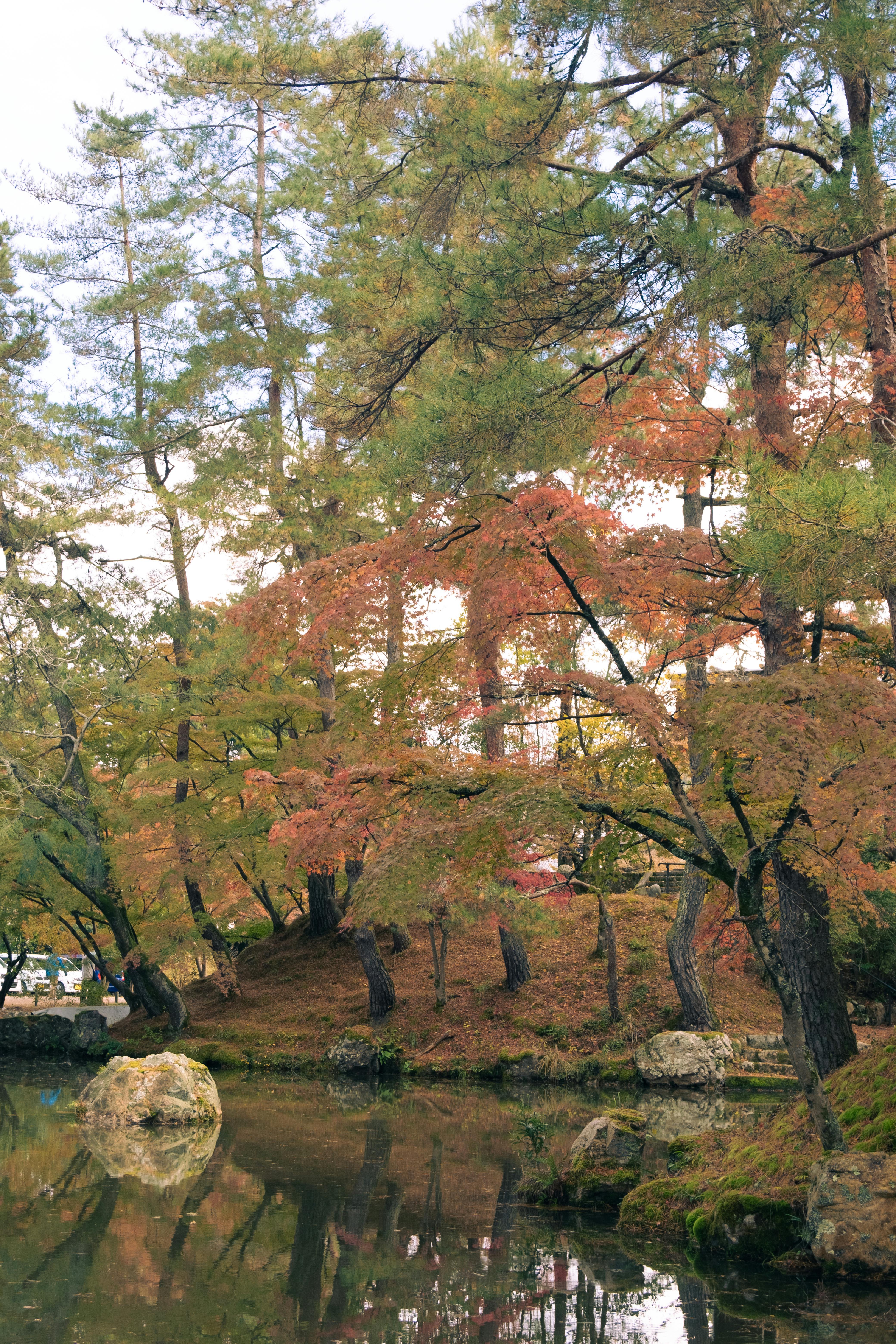 A pond with trees and rocks in the background · Free Stock Photo