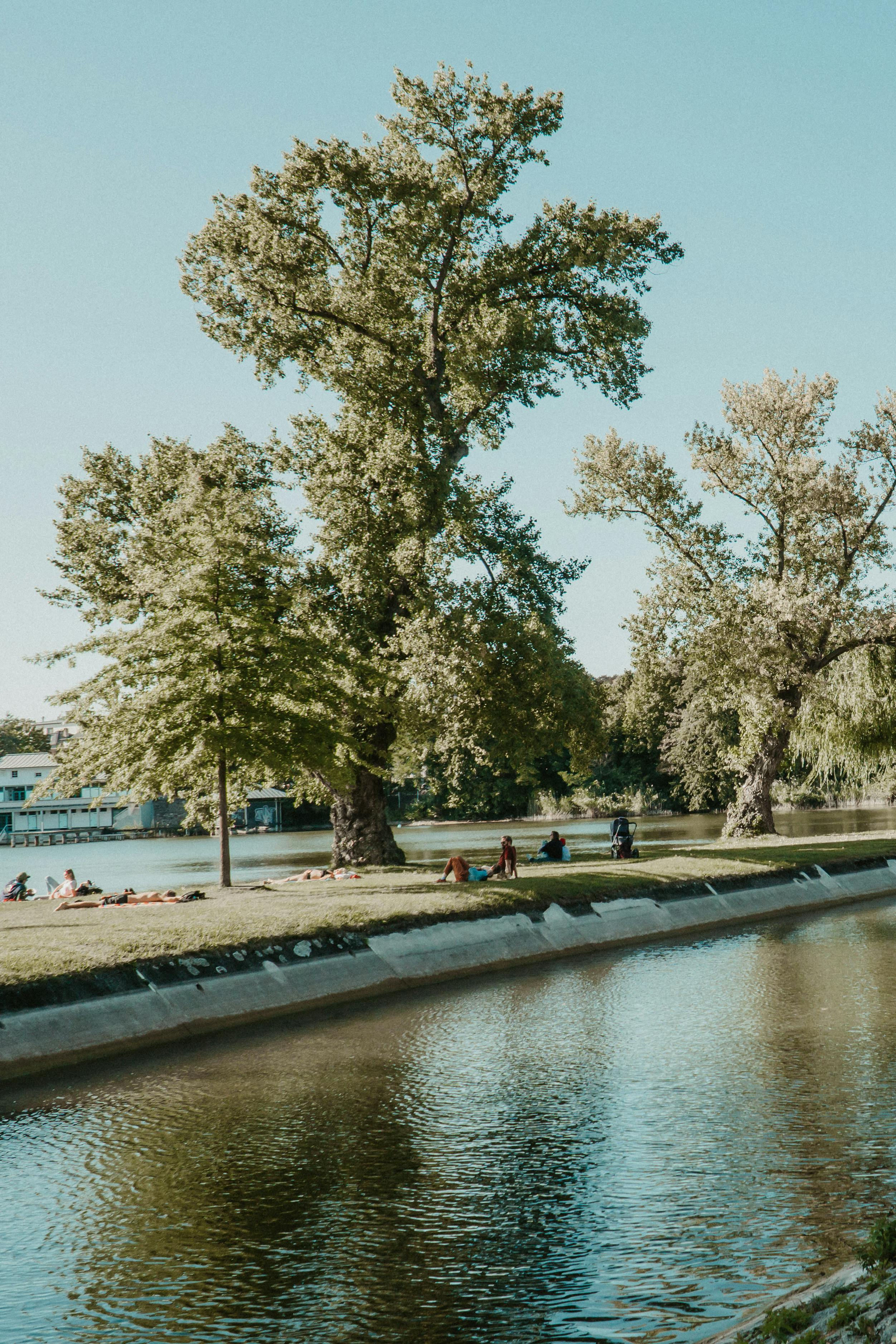 Clearness Photos, Download The BEST Free Clearness Stock Photos & HD Images