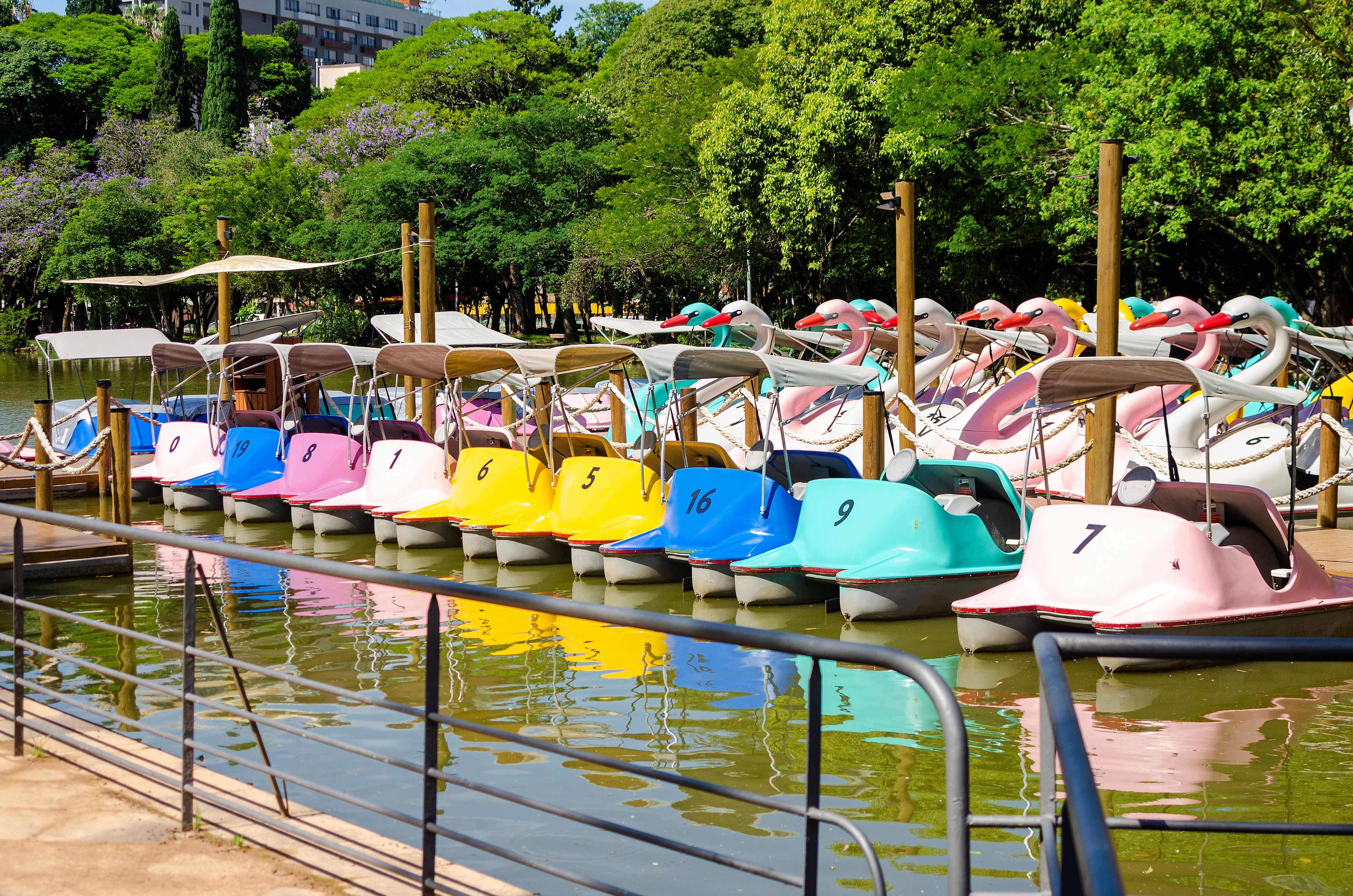 Colorful Recreational Spinning Duck Boats · Free Stock Photo
