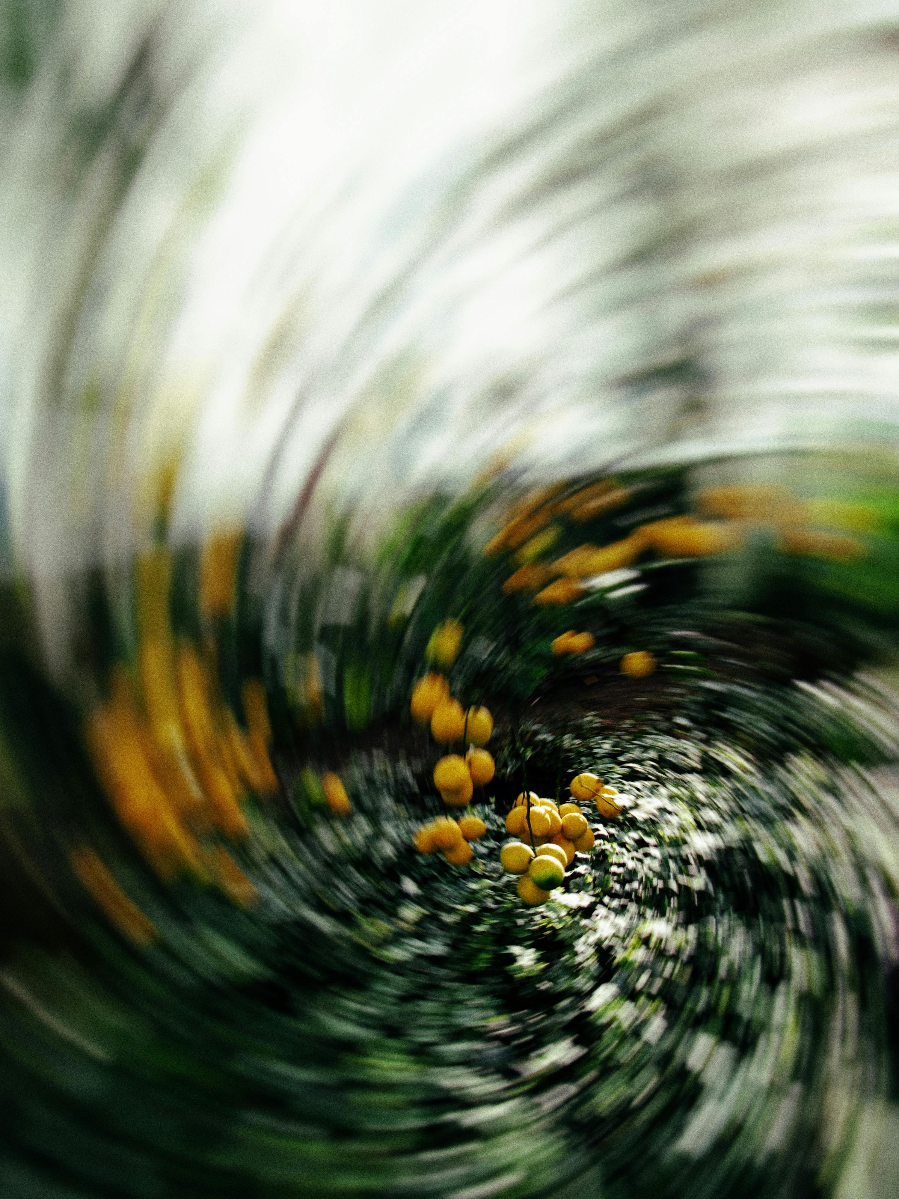 Egor Litvinov - Photography