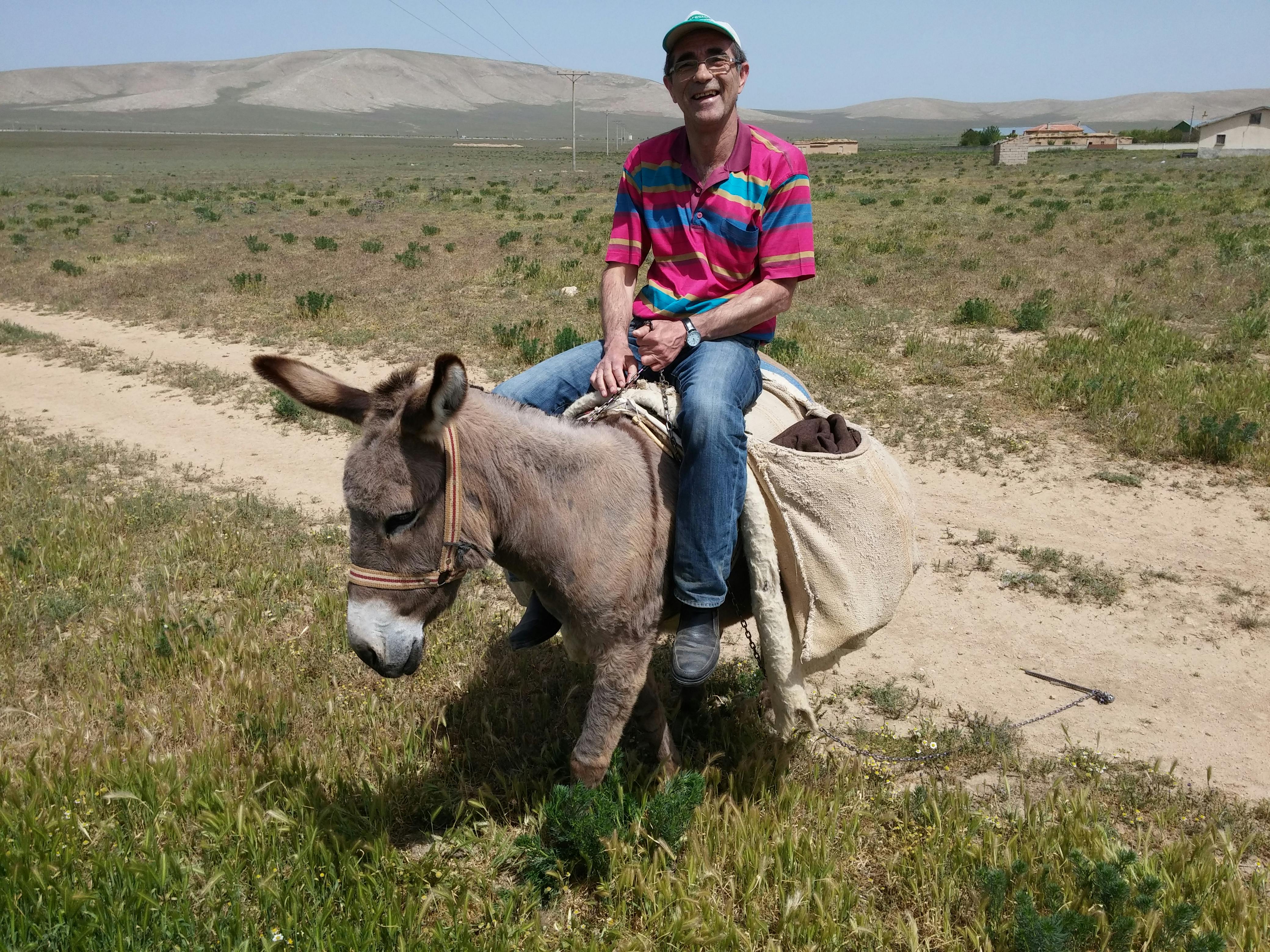 Berger Photos, Download The BEST Free Berger Stock Photos & HD Images