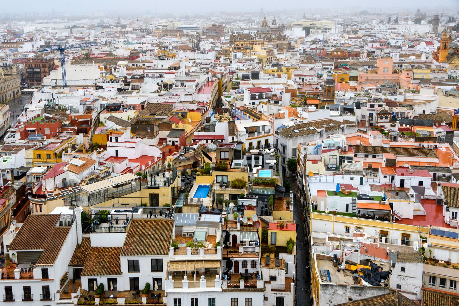 Rooftop View Buildings Photos, Download The BEST Free Rooftop View ...