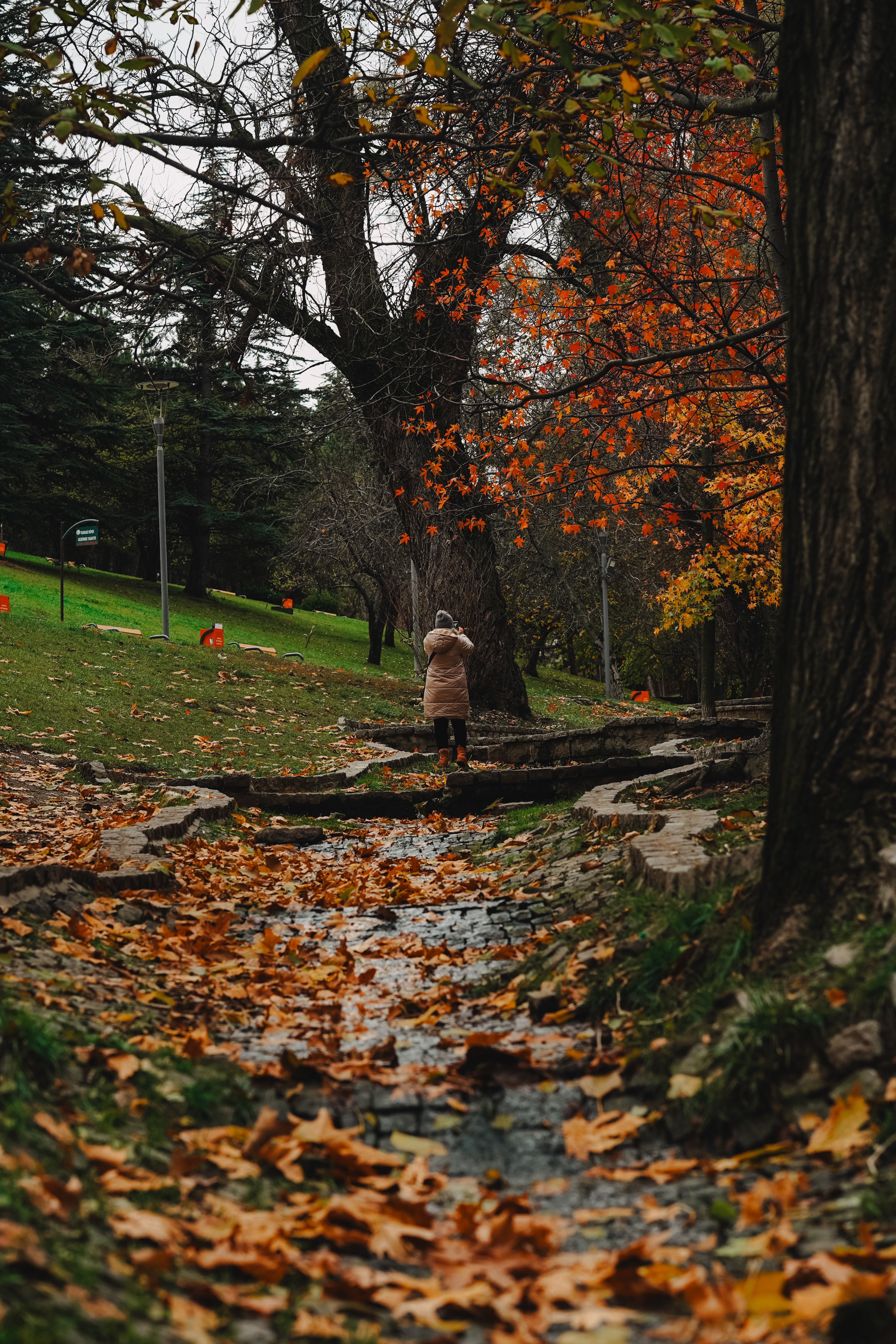 Woman Standing by Stream in Park in Autumn · Free Stock Photo