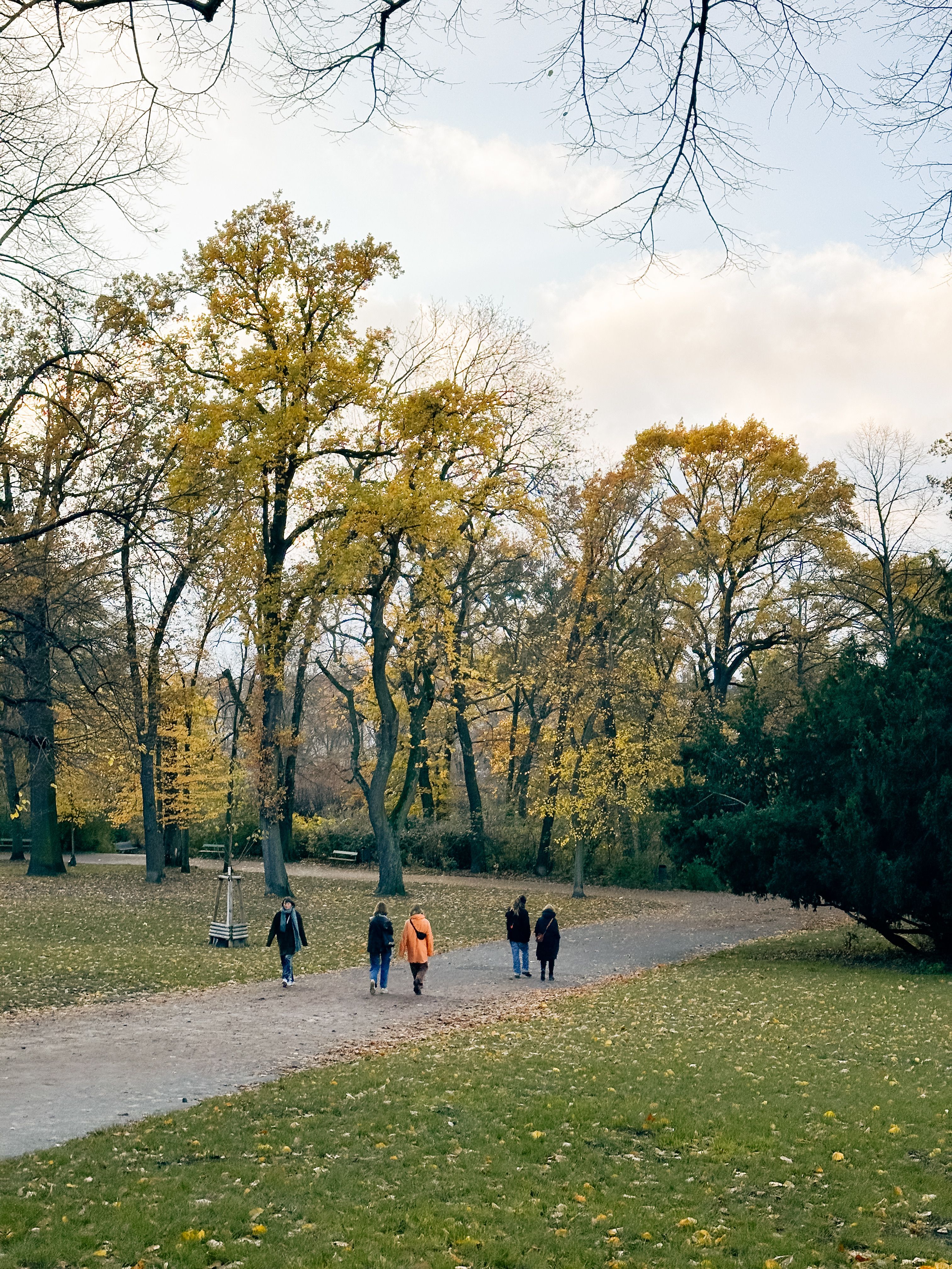 People On Park Photos, Download The BEST Free People On Park Stock ...