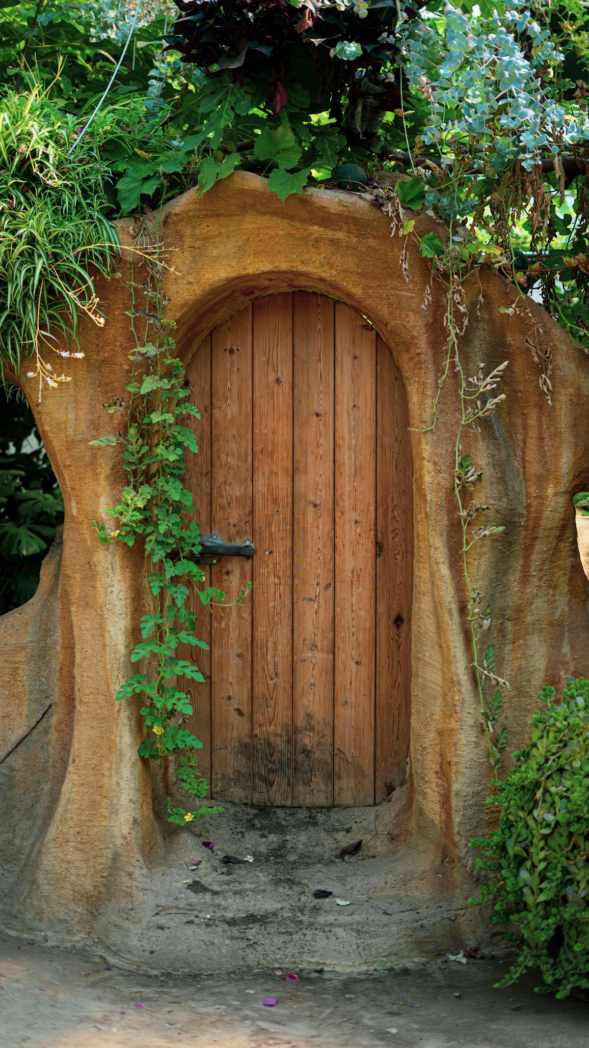 20.000+ Foto Stw+ngangkang+pamer+toket Terbaik · Unduh Gratis 100% · Foto Stok Pexels