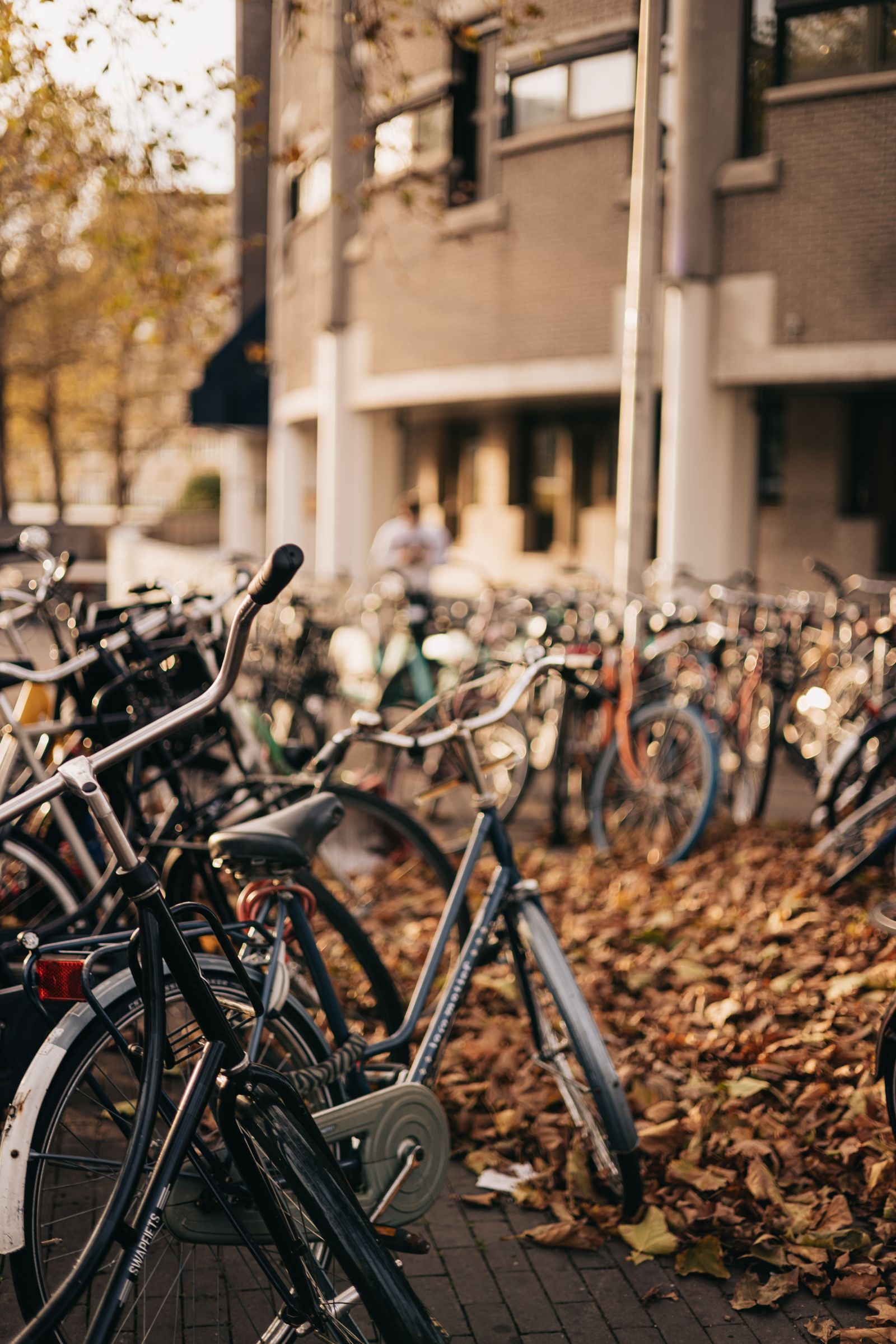 Fall City Photos, Download The BEST Free Fall City Stock Photos & HD Images