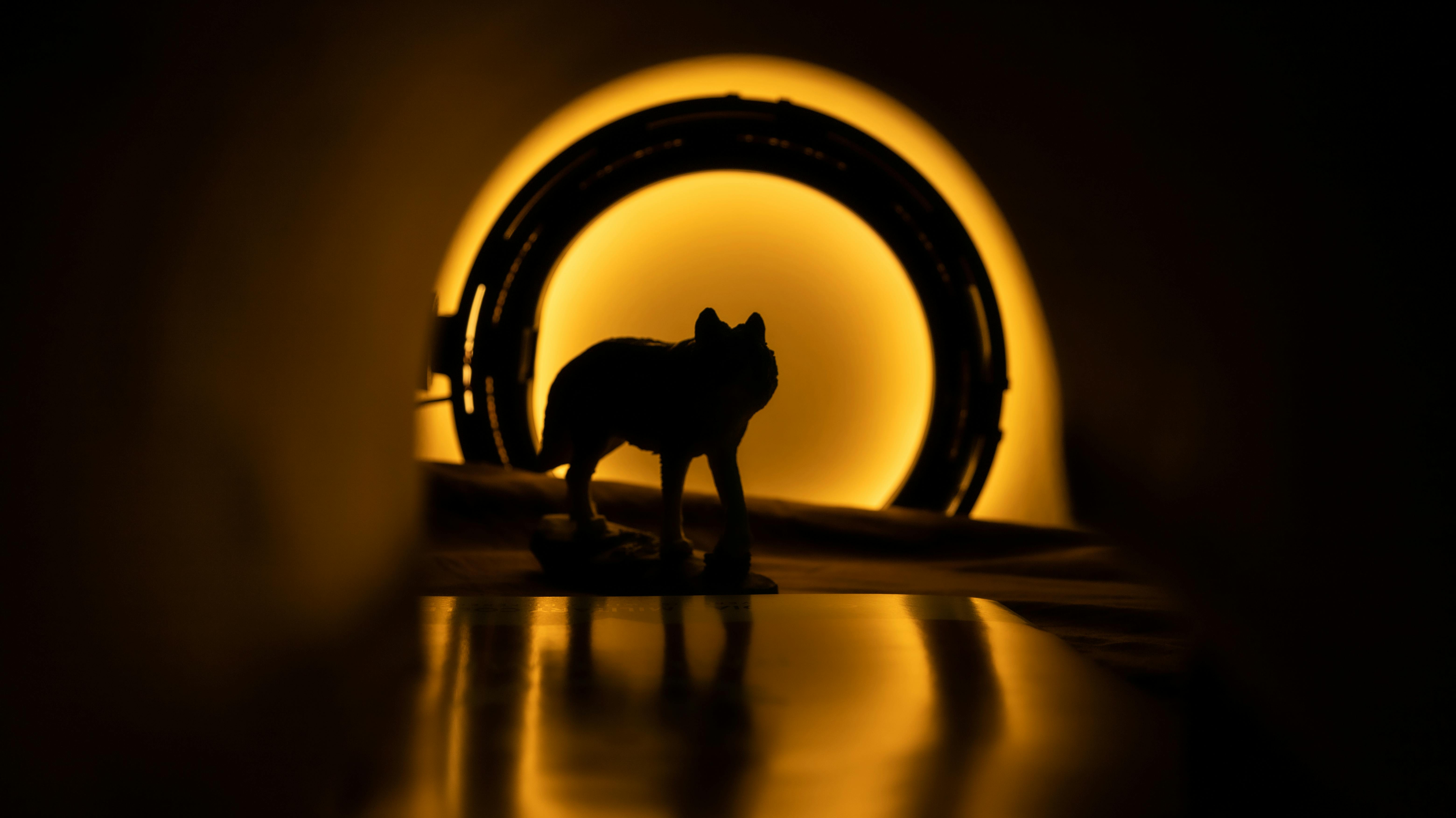 Zander Smith-Pauls - Photography