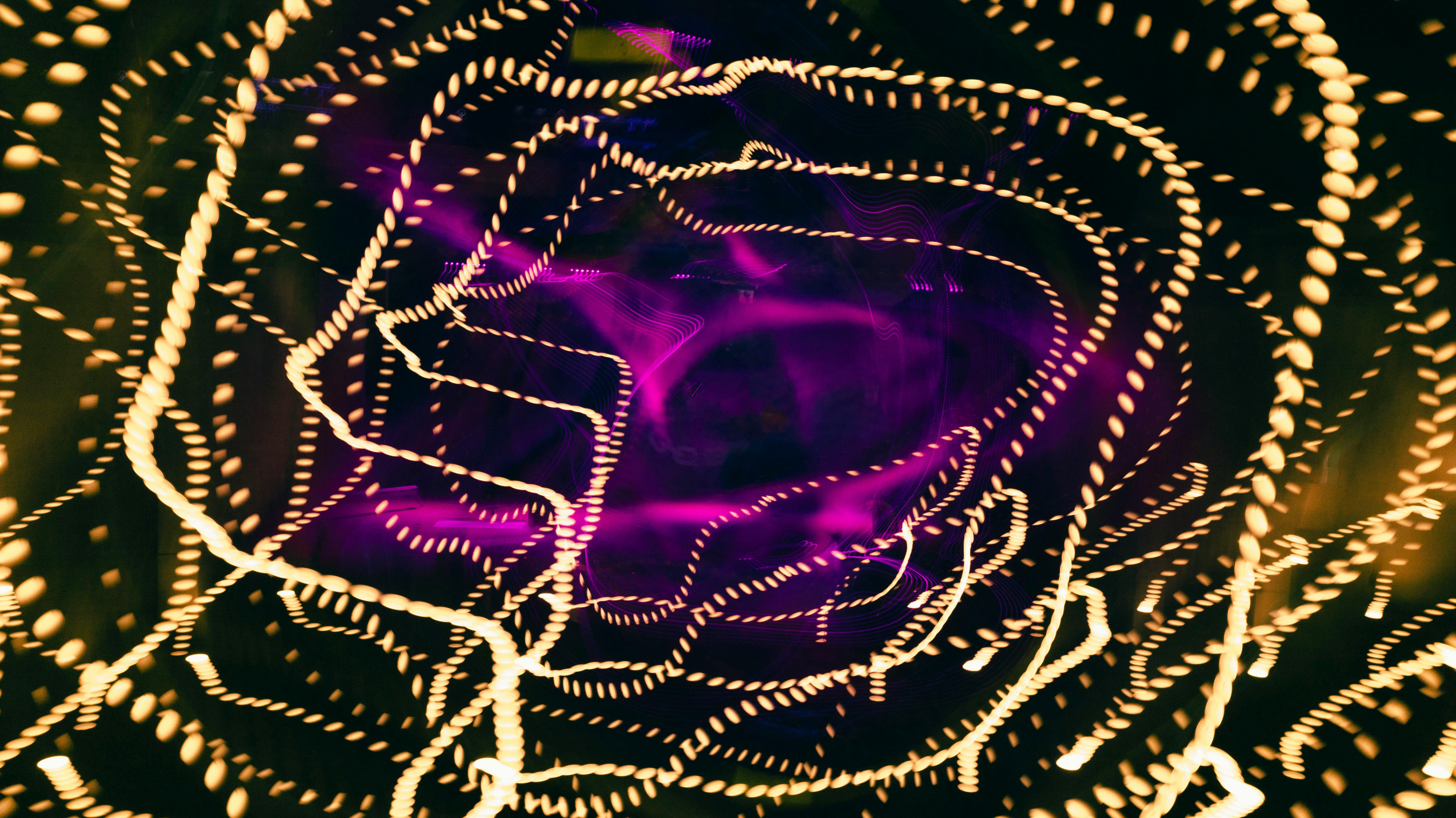 Zander Smith-Pauls - Photography