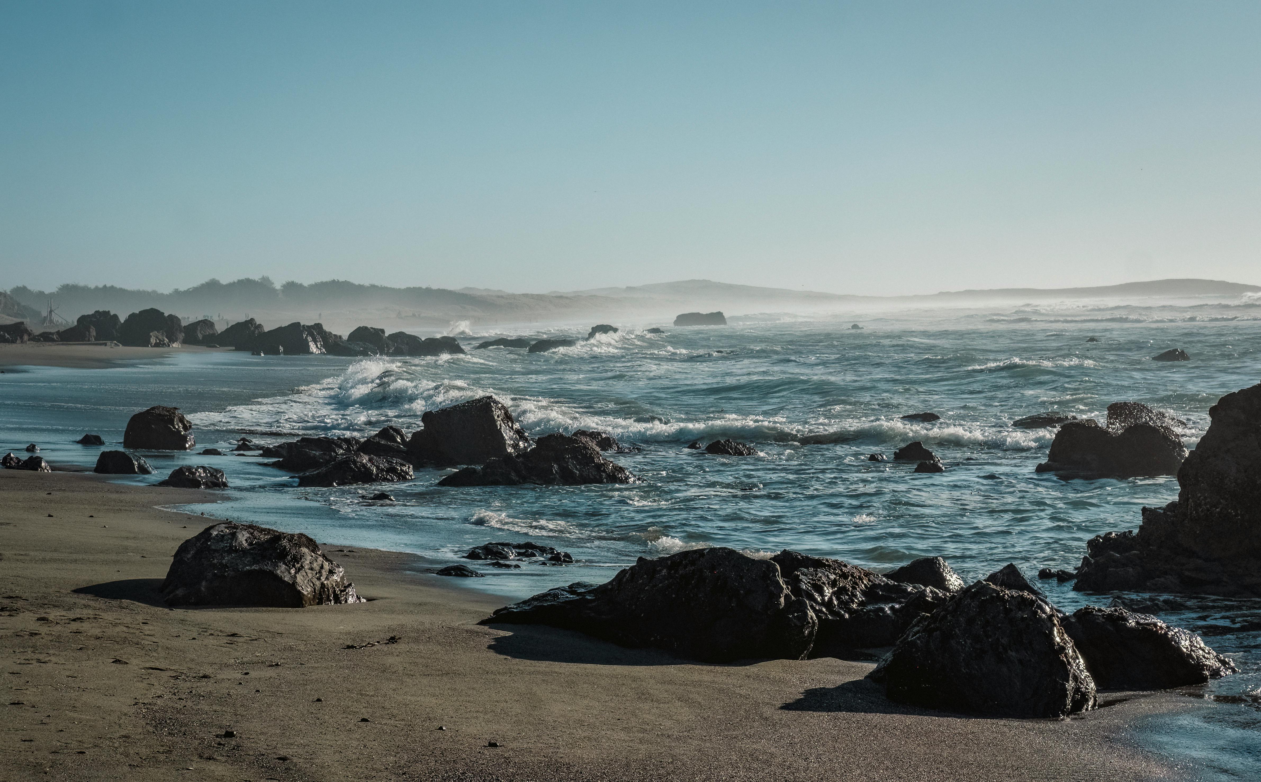 Bushes and Beach on Sea Coast · Free Stock Photo