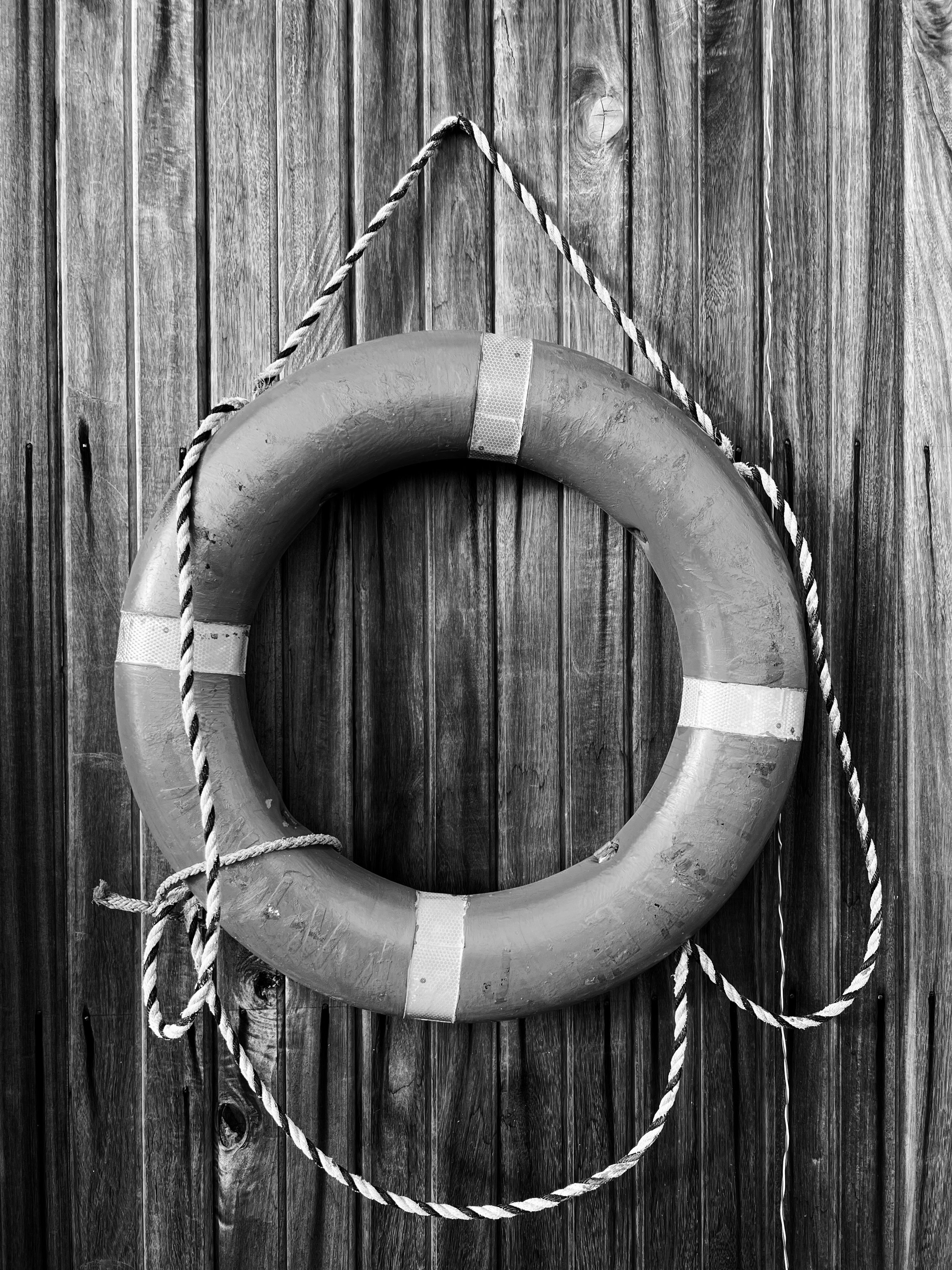 Ringbuoy Photos, Download The BEST Free Ringbuoy Stock Photos & HD Images